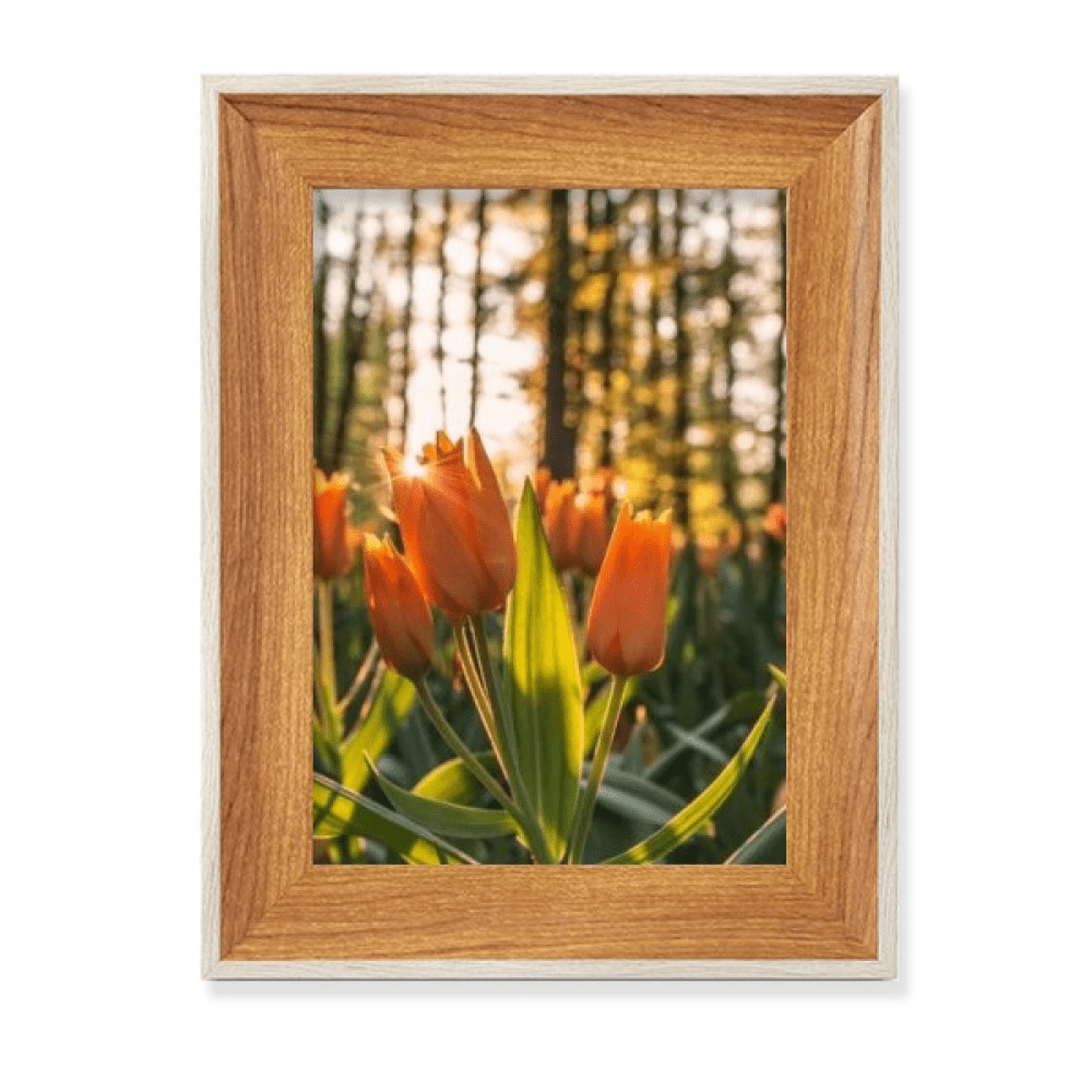 flower ry science nature scenery desktop wooden photo frame display ...