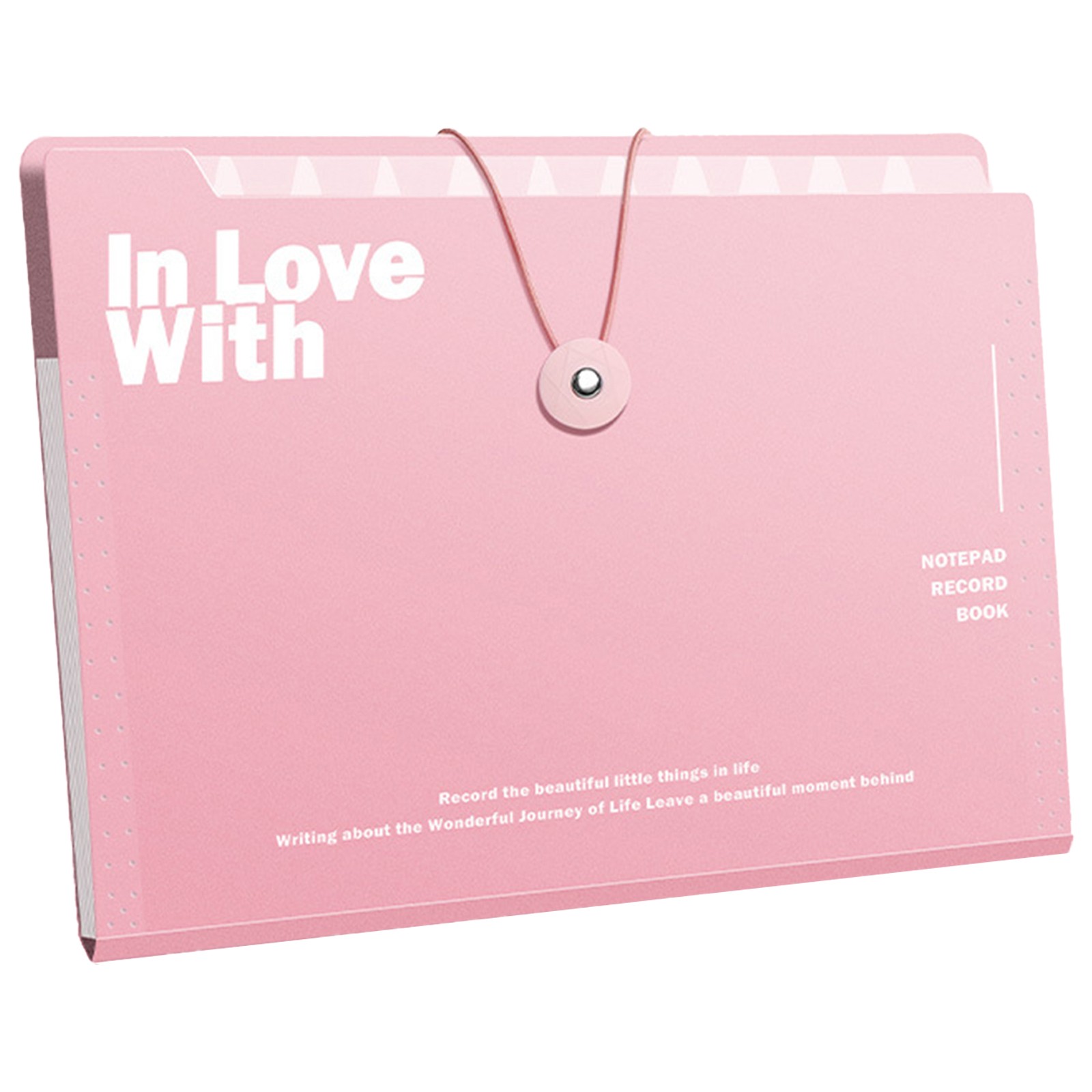 folder Weekly Planner Fridge File Folder with Buckle Expanding File ...