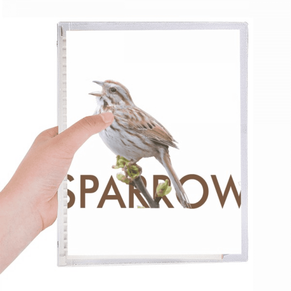 food throat sparrows birds notebook loose diary refillable journal ...