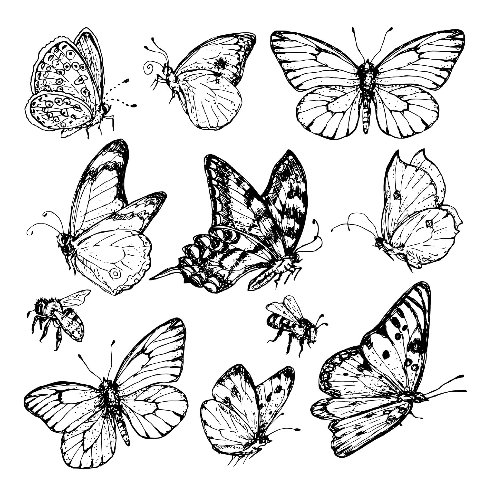 for Butterfly Stamp Cartoon Flying Seal Handmade Crafts for Card Making ...