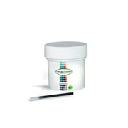 Silver Auto Paint in Shop Automotive Paint by Color - Walmart.com