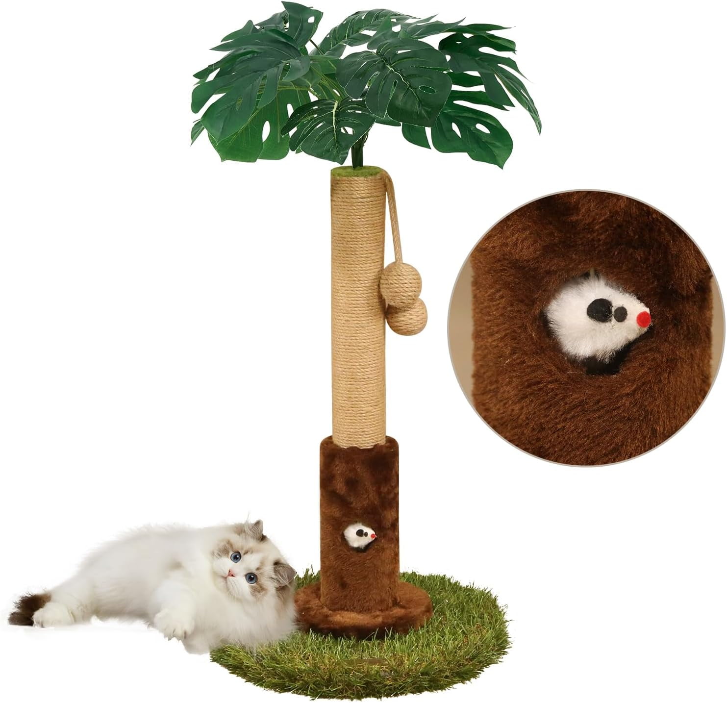 for Indoor Cats and Kitten - 35.43" Tall with Sisal Rope,Palm Tree ...