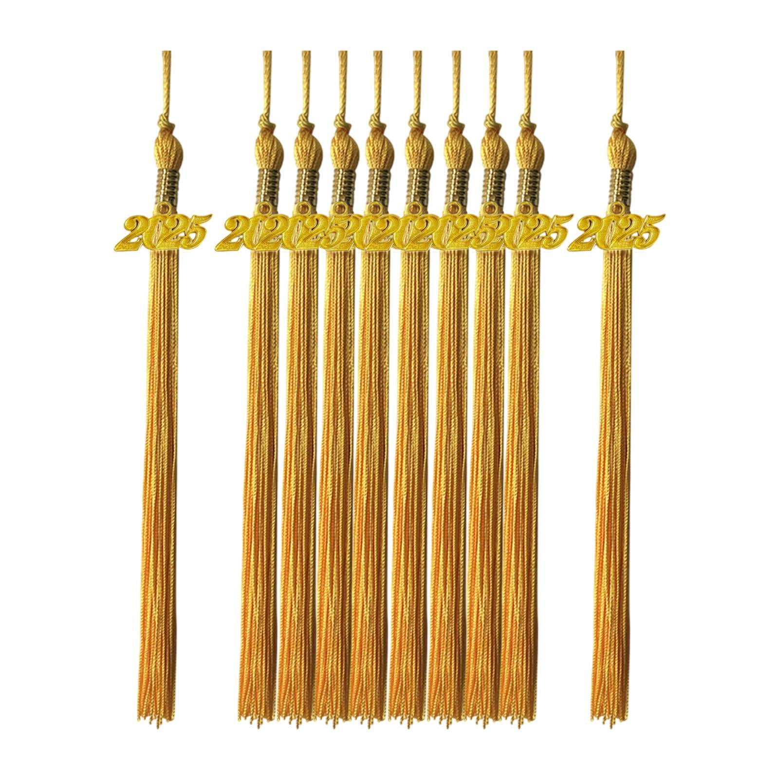 freneci 10 Pieces Graduation Tassels 2025 2025 Grad Souvenir Graduate ...