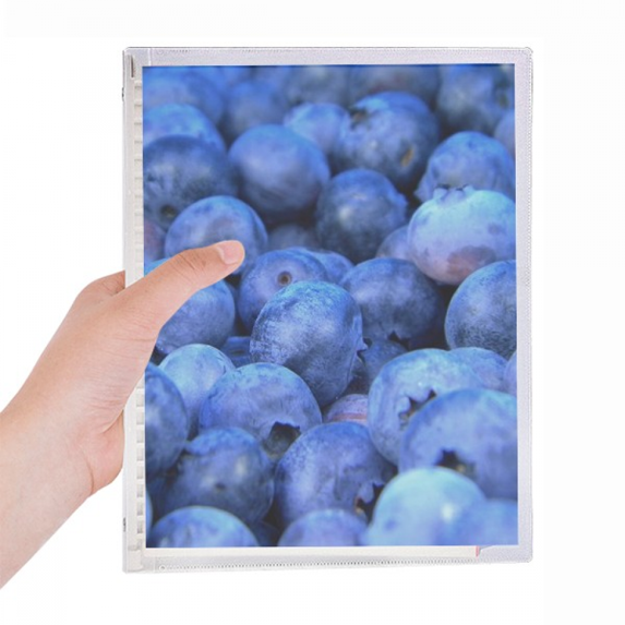 fresh blueberry tropical fruit picture notebook loose diary refillable ...