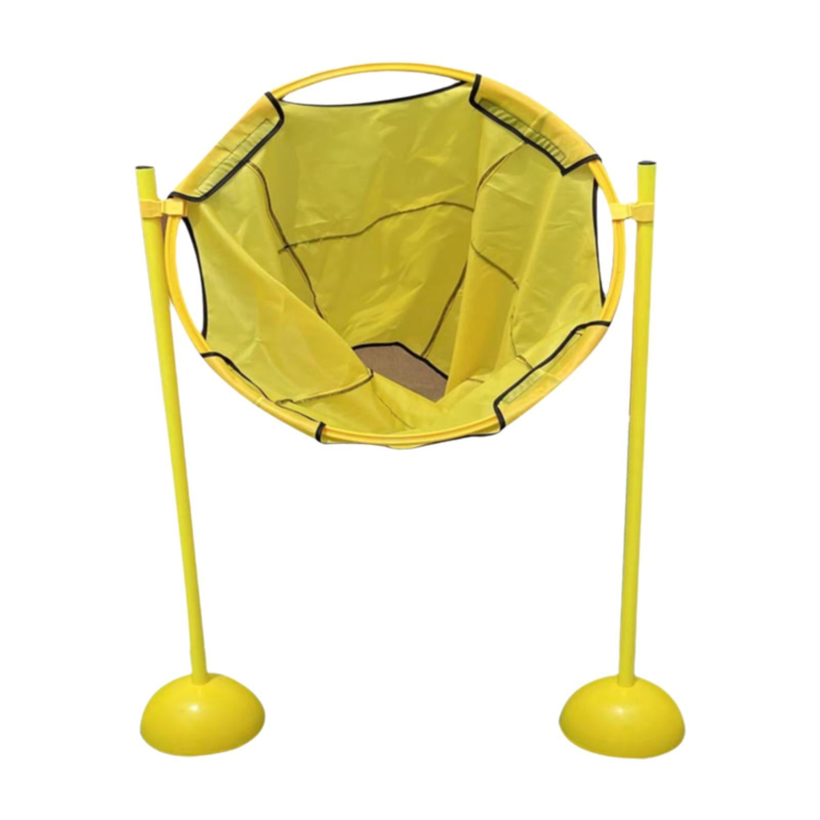 funtasica Ball Throwing Hoop Toy,Indoor Game Birthday Gift,Sports ing ...