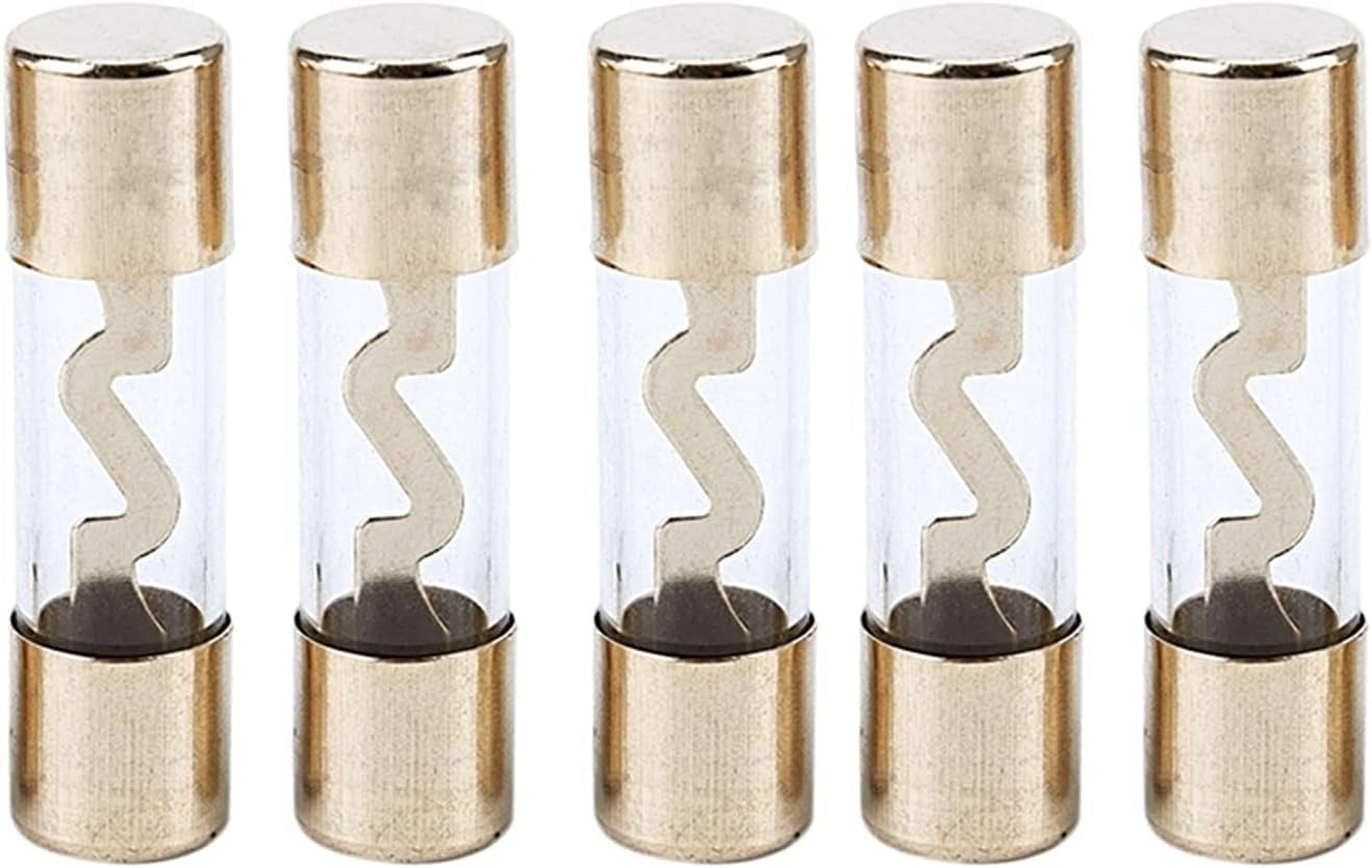 fuses Pack of 5 Car Amp Amplifier Glass 40 A AMP AGU Gold Plated Fuse ...