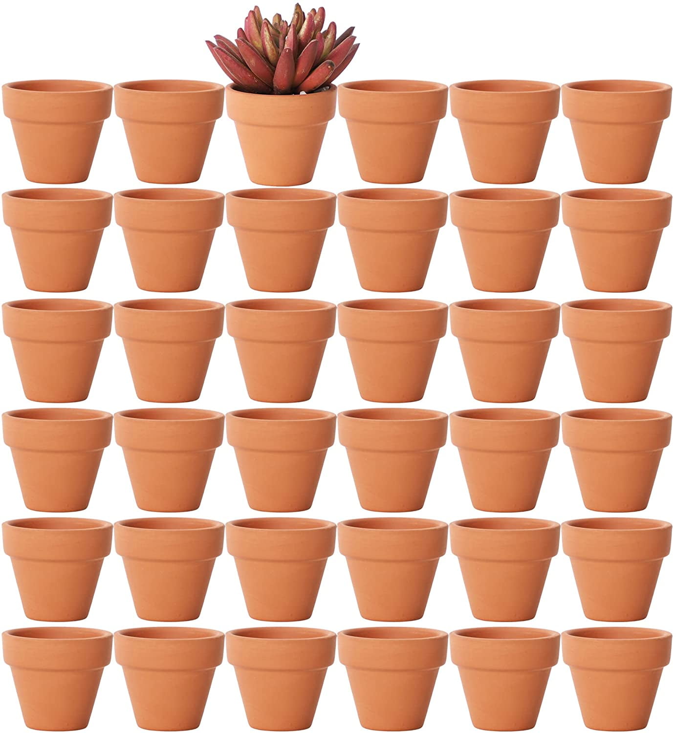 g 1.9 Inch Tiny Terracotta Pots Pack of 36-Small Mini Clay Pots with ...