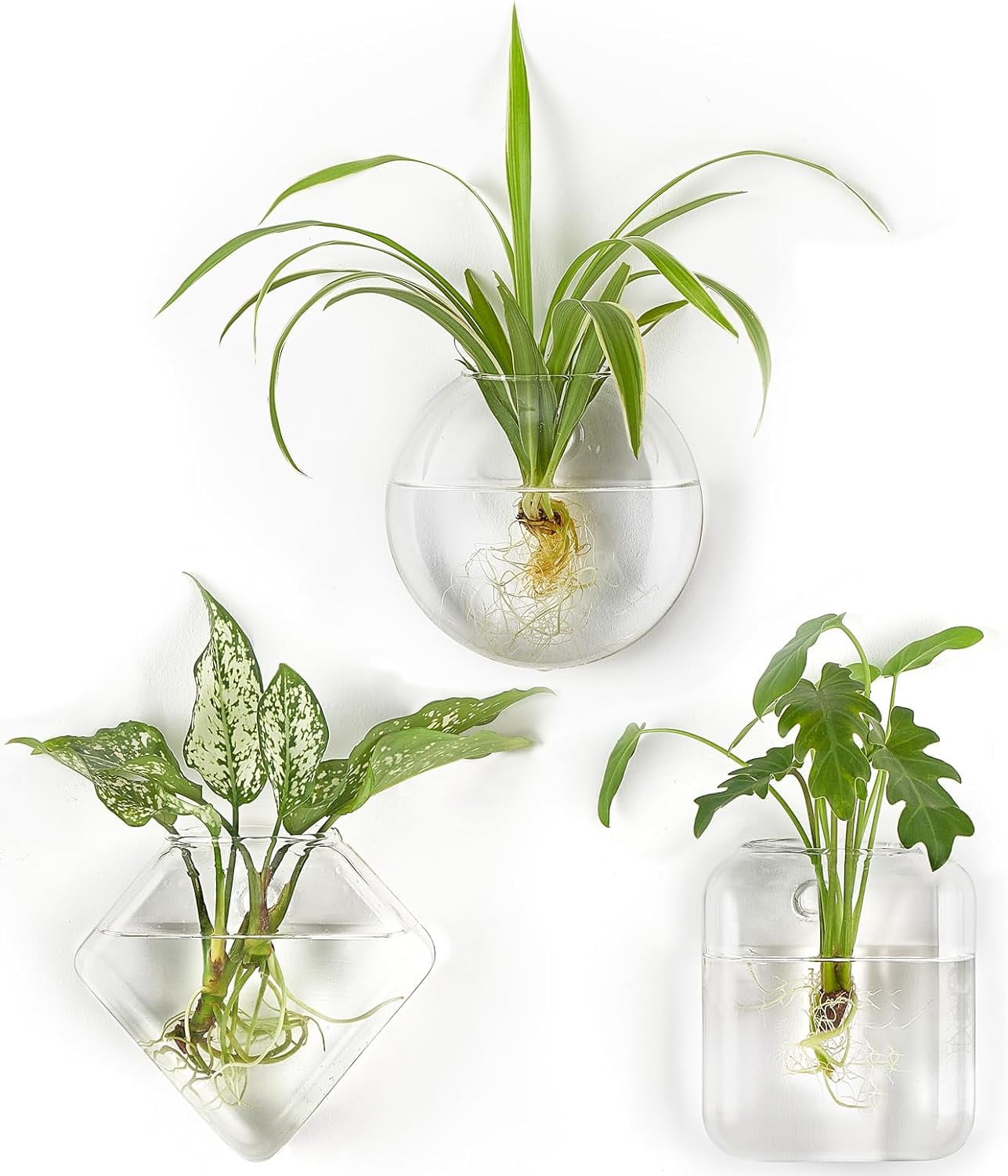 g Wall Planter Propagation Stations Hanging Glass Terrariums Vase ...