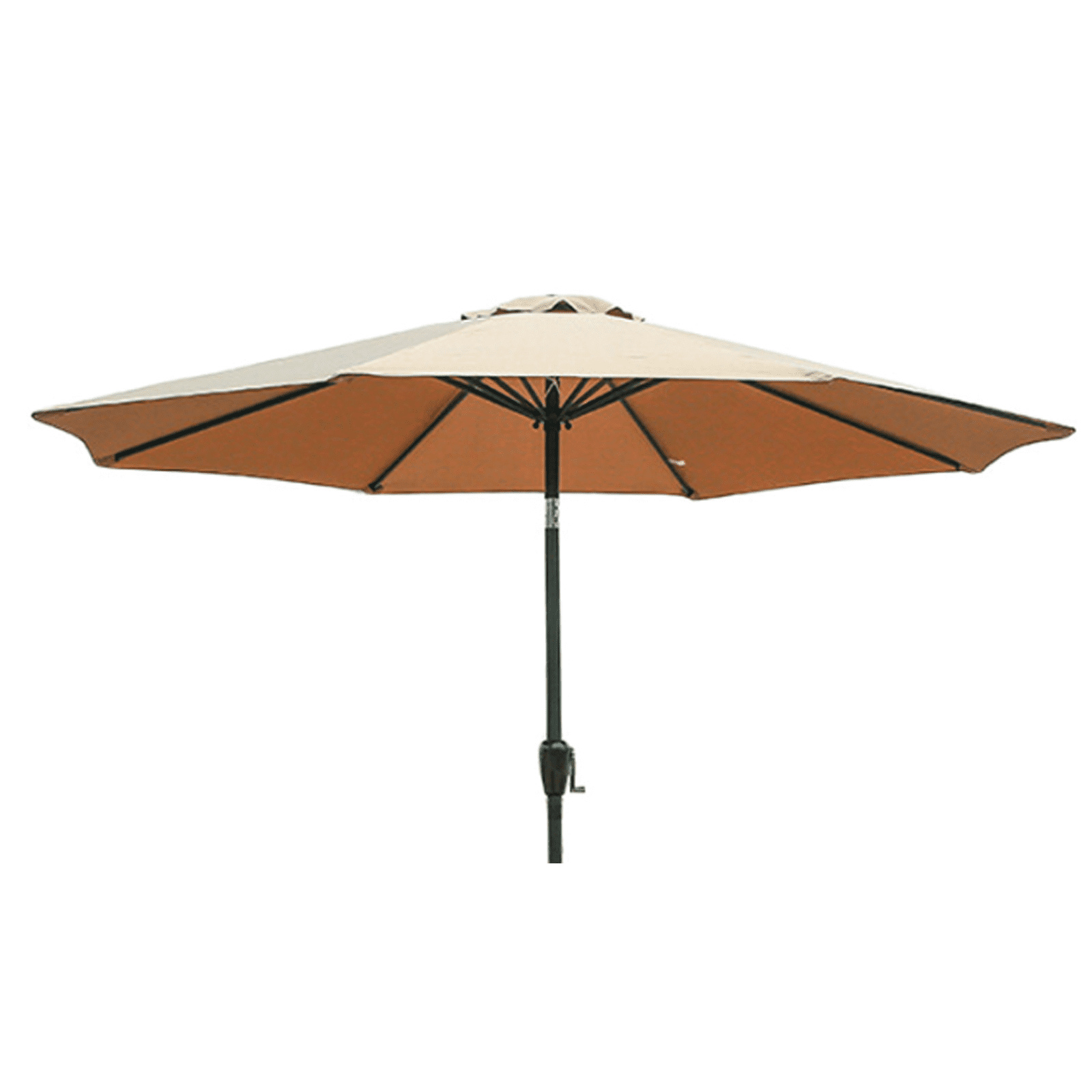 gastropod Beach Umbrella,Good Sun And Rain Protection Effect Umbrella ...