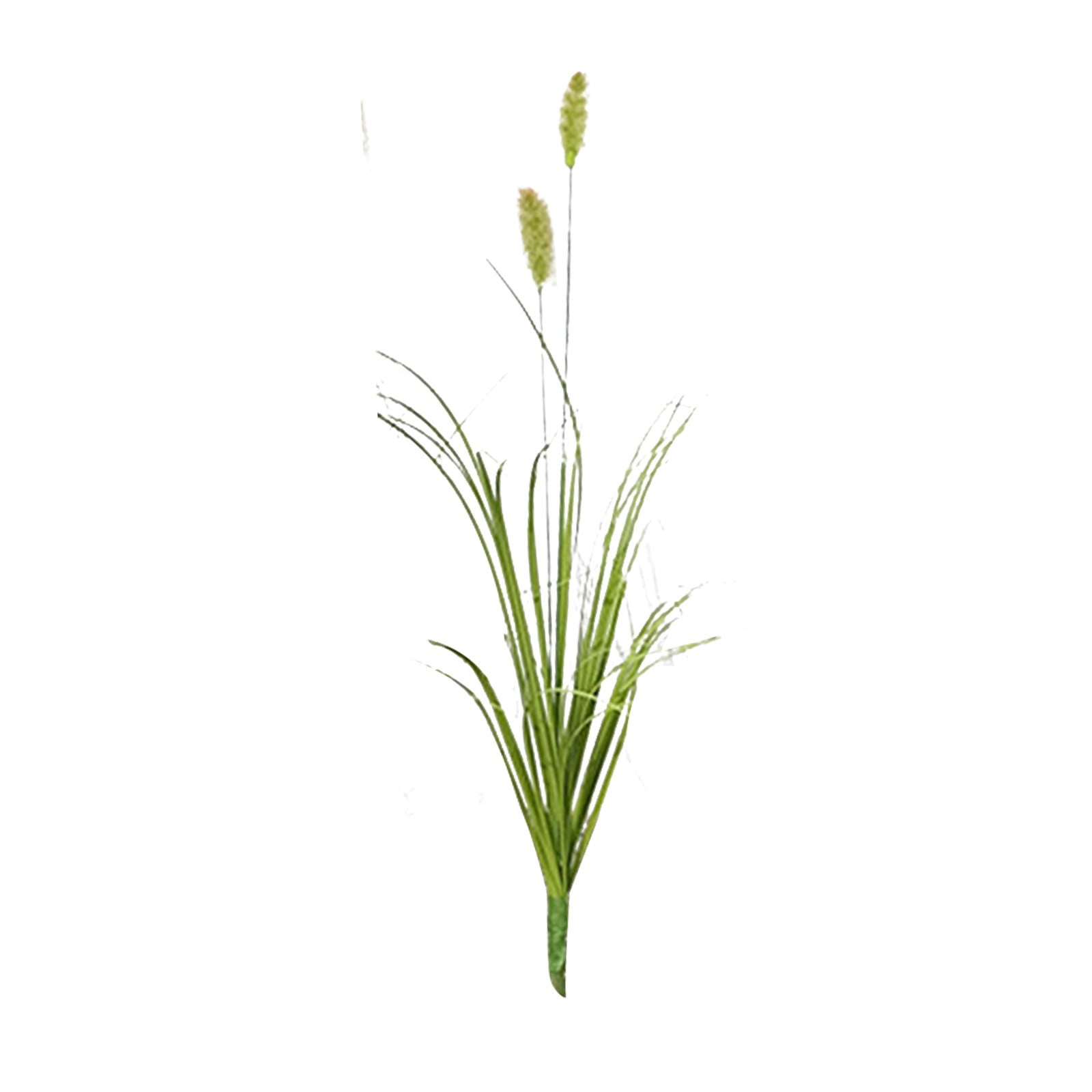 geerera Simulation Foxtails Grass Simulation Plants 6pcs Plastic ...