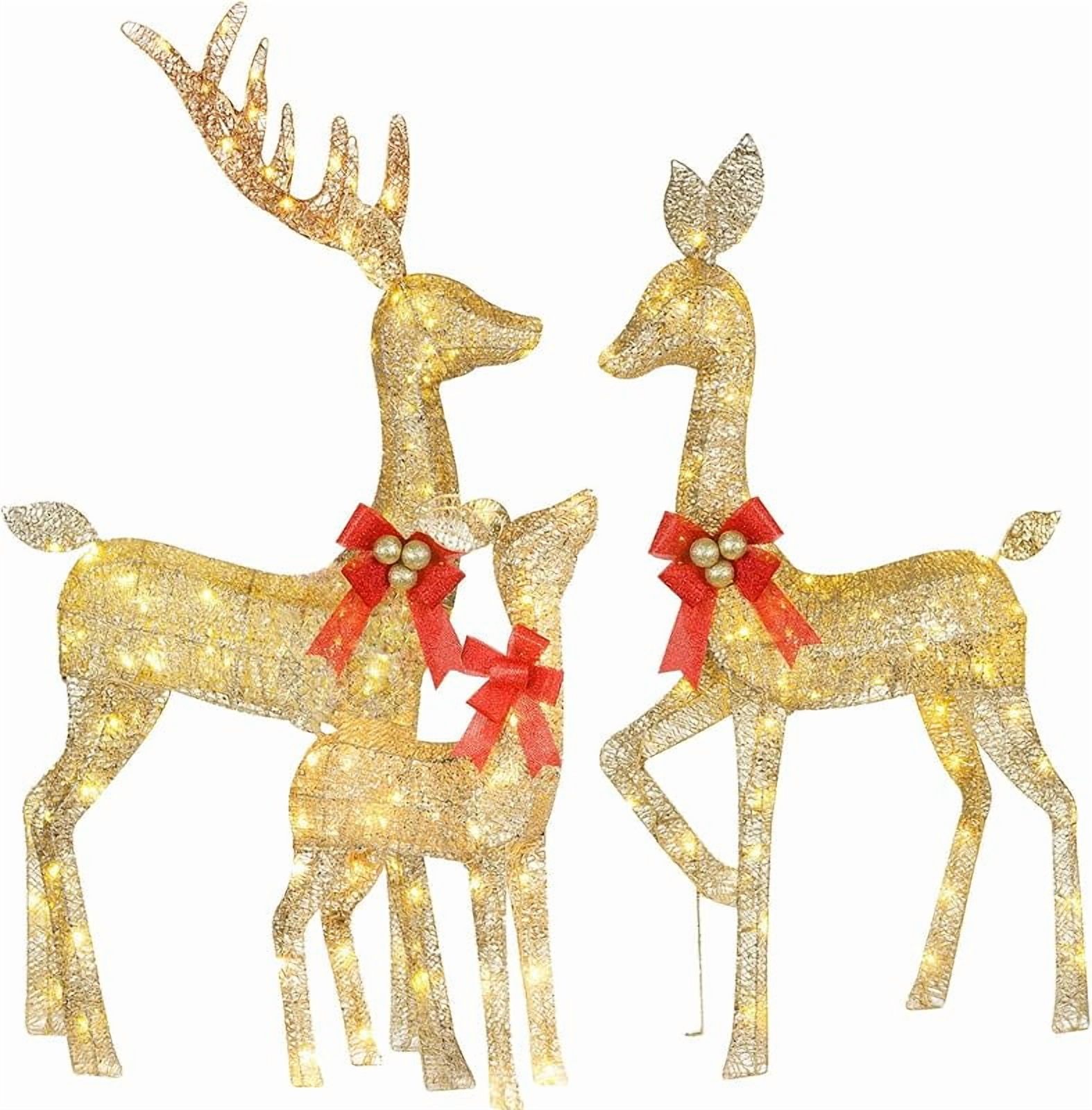 ghted Christmas Decoration Deer 3 Piece, HOYECHI Light up Christmas ...