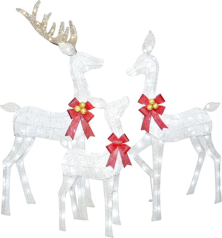ghted Christmas Decoration Deer 3 Piece, HOYECHI Light up Christmas ...