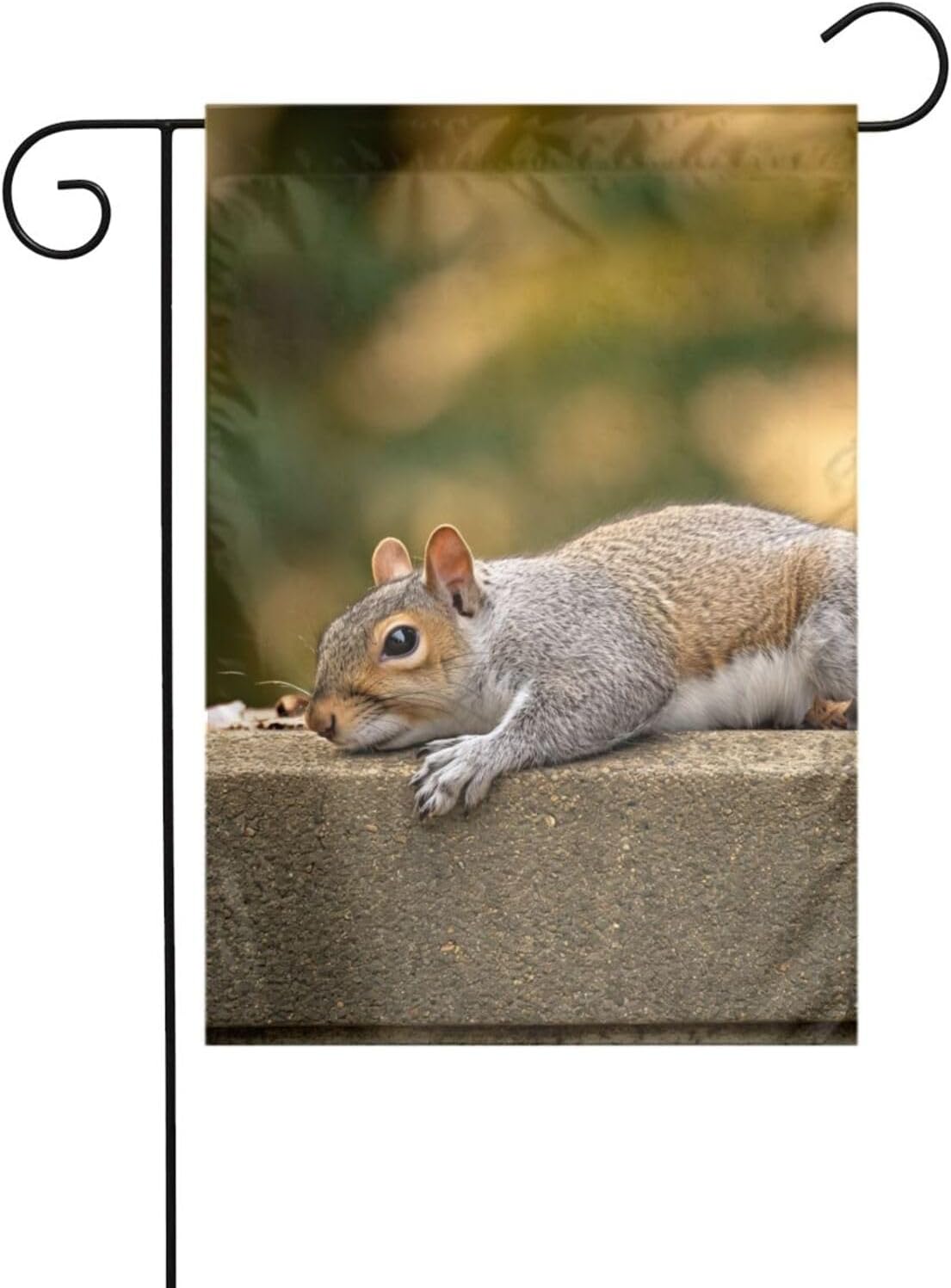 gray squirrel relaxing Garden Flags Double Sided,Garden Flags for All ...