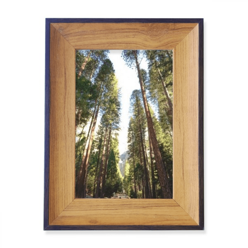 green ry science nature scenery photo frame exhibition display art ...