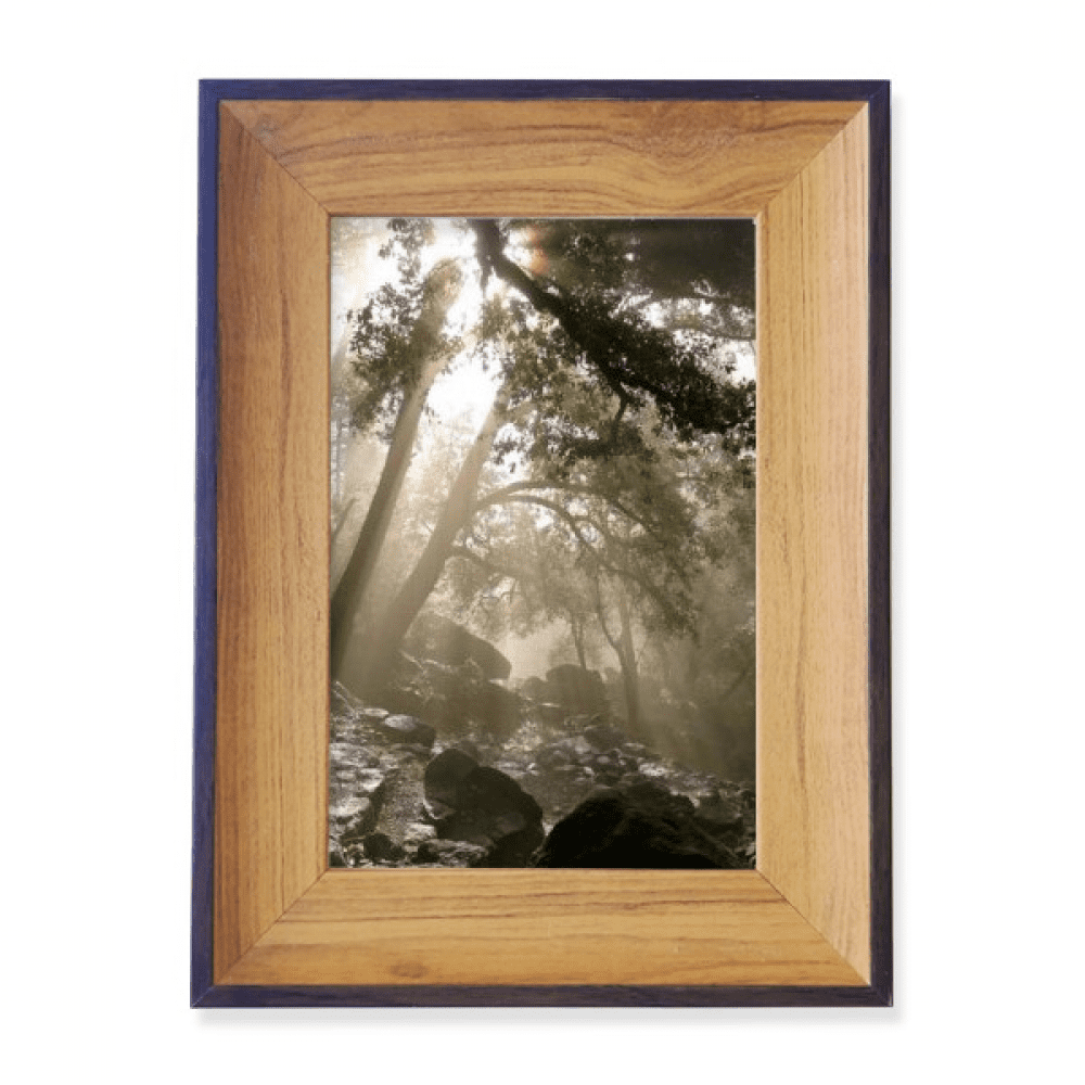green ry science nature scenery photo frame exhibition display art ...