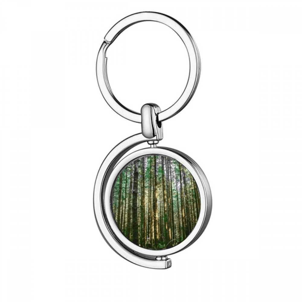 green ry science nature scenery rotating keychain metal keyring holder ...