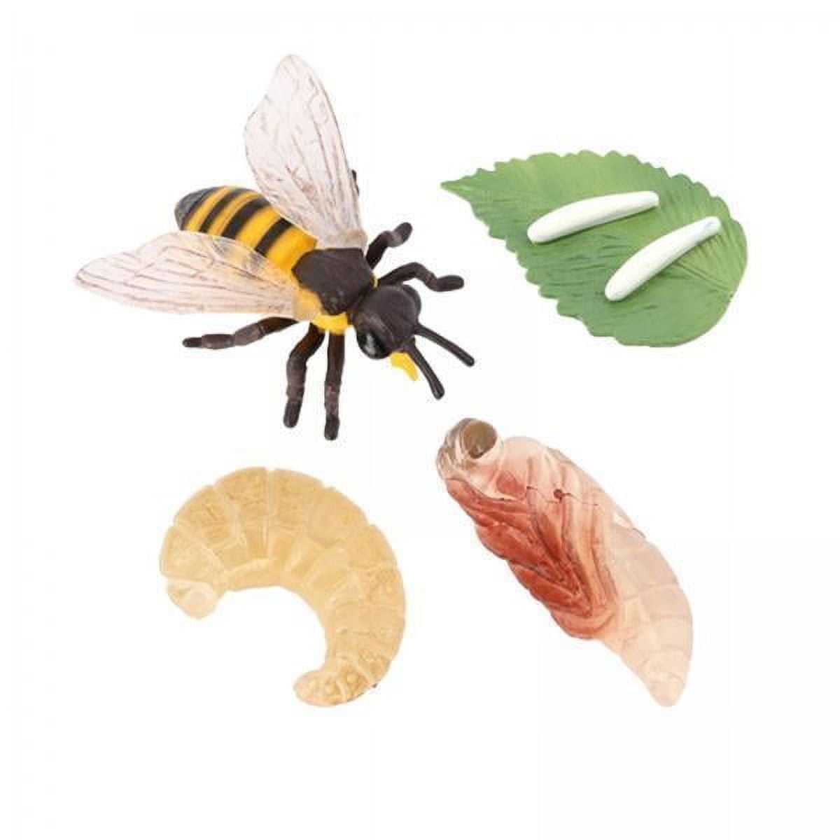 guohui 4xLife Cycle of Bee Toys Teaching Materials Puzzle Animal Growth ...