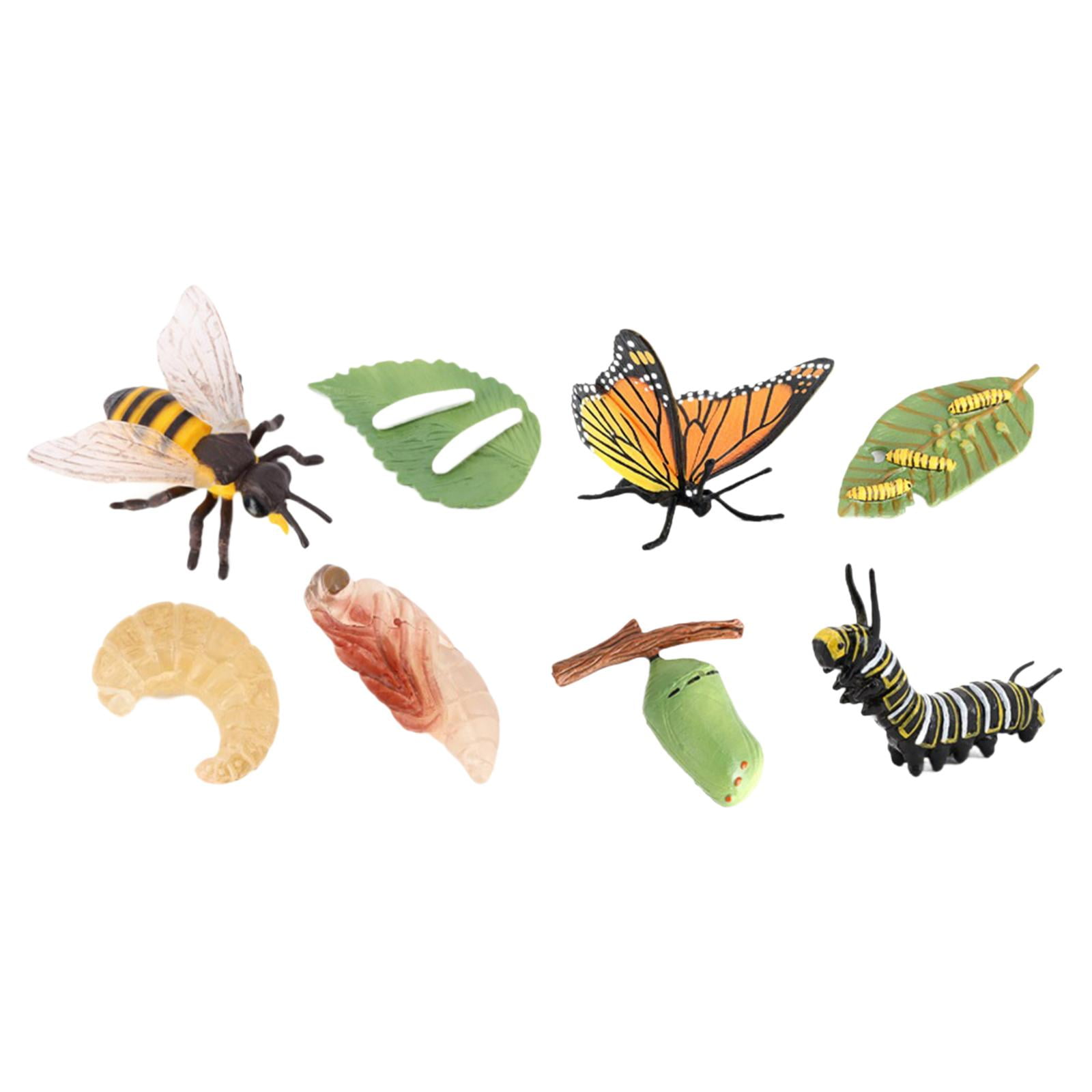 guohui Animal Life Cycle Learning Toys Animals Plants Figurines for ...