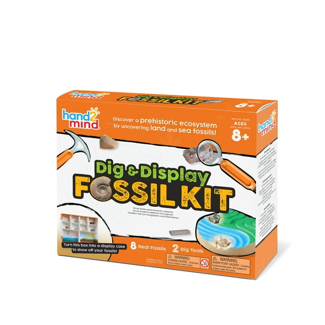 hand2mind Dig & Display Fossil Kit, 8 Real Fossils for Kids, Fossil ...