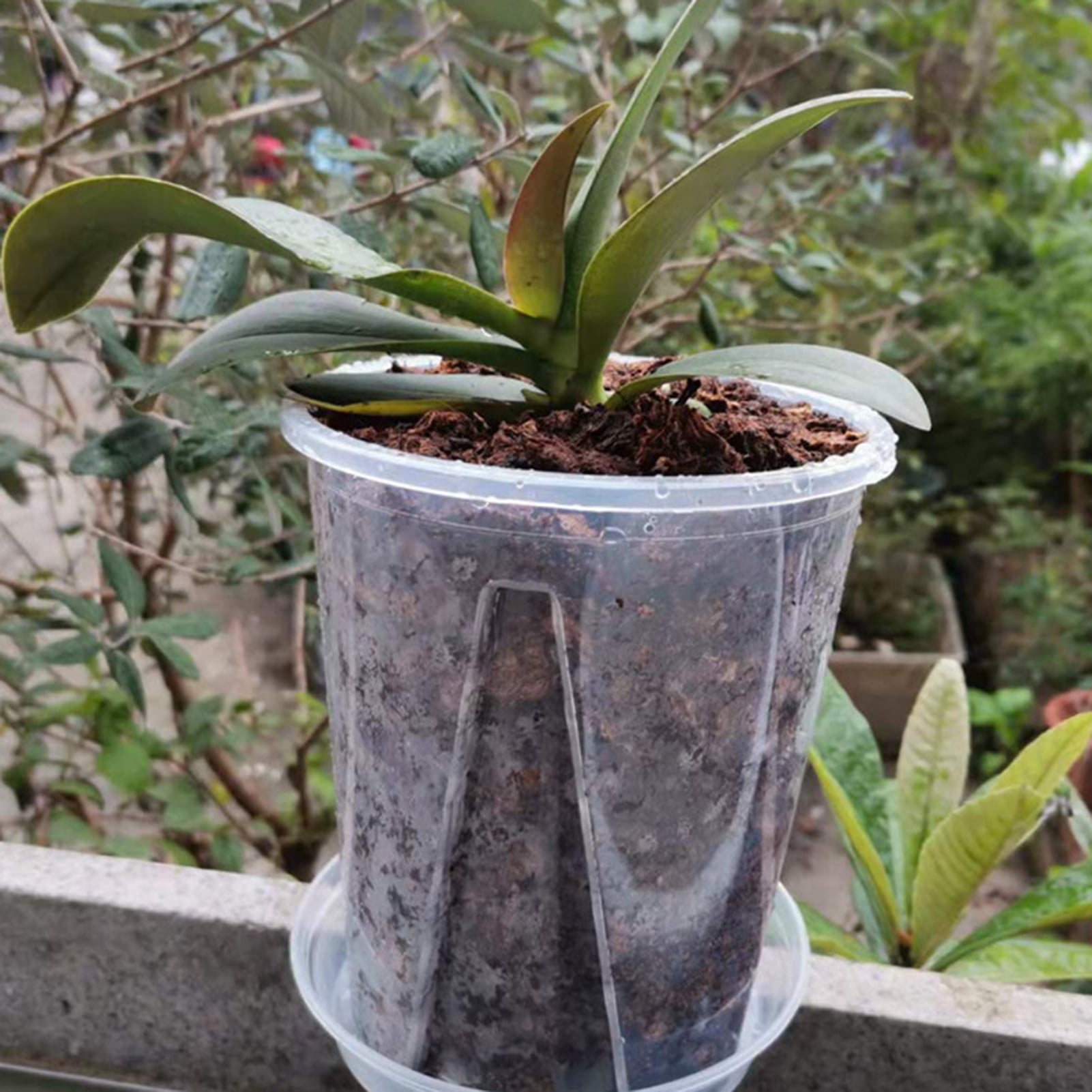 harmtty Plant Pot Transparent Thickened Large Capacity Breathable DIY ...