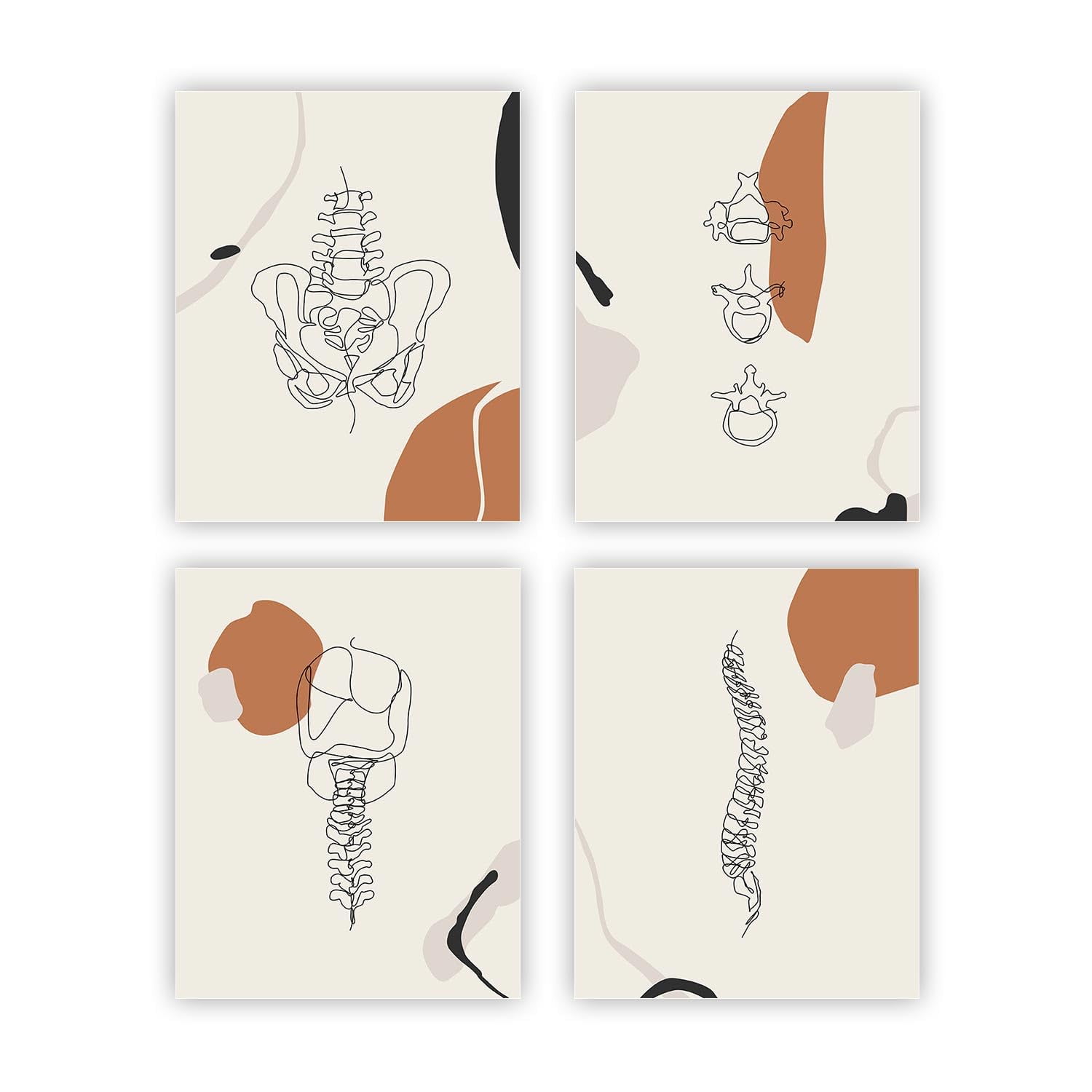 heilkee Line Art Wall Decor Anatomy Posters Therapy Office Decor ...