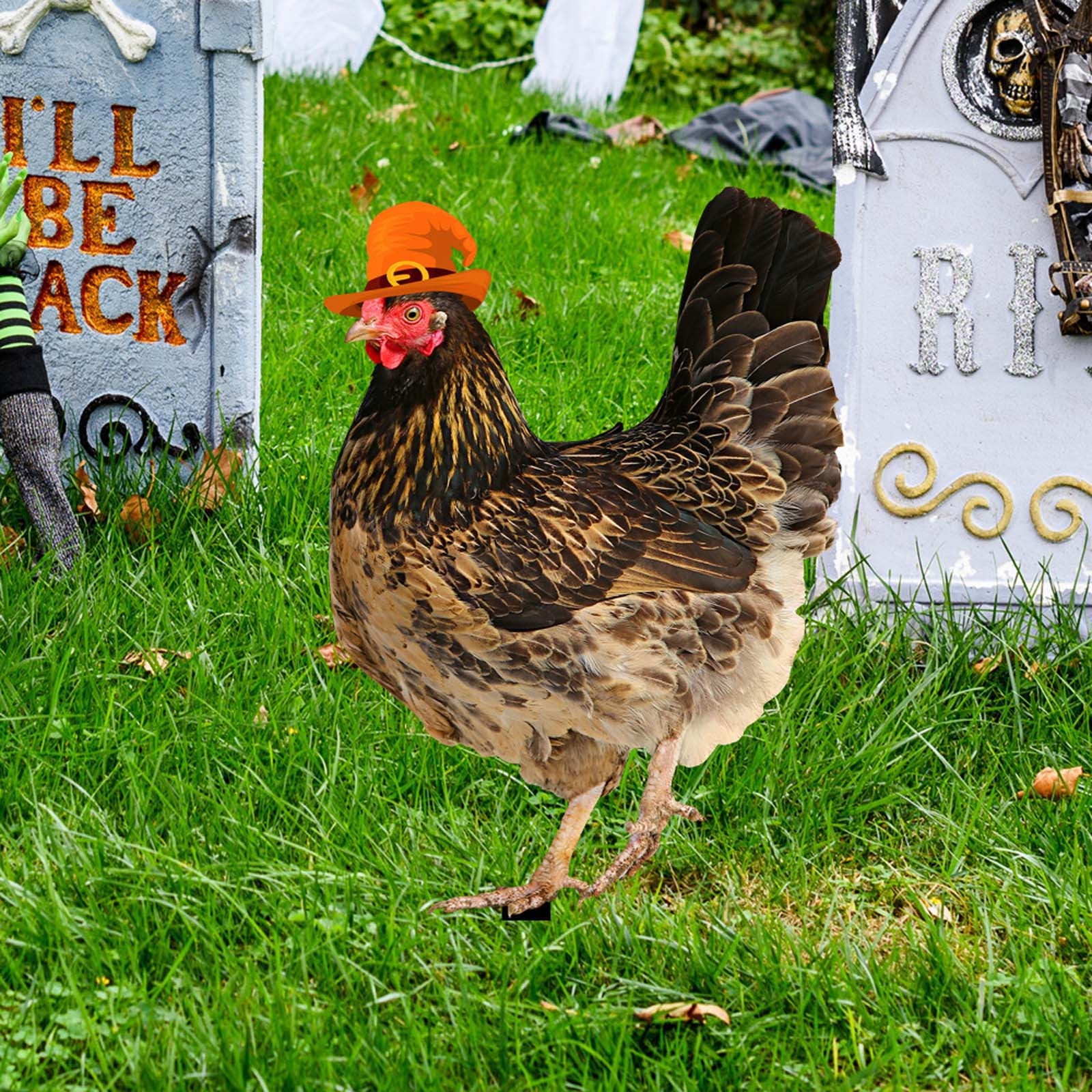 hengsof Chicken Lawn Stakes Realistic Chicken Statues Garden Acrylic ...