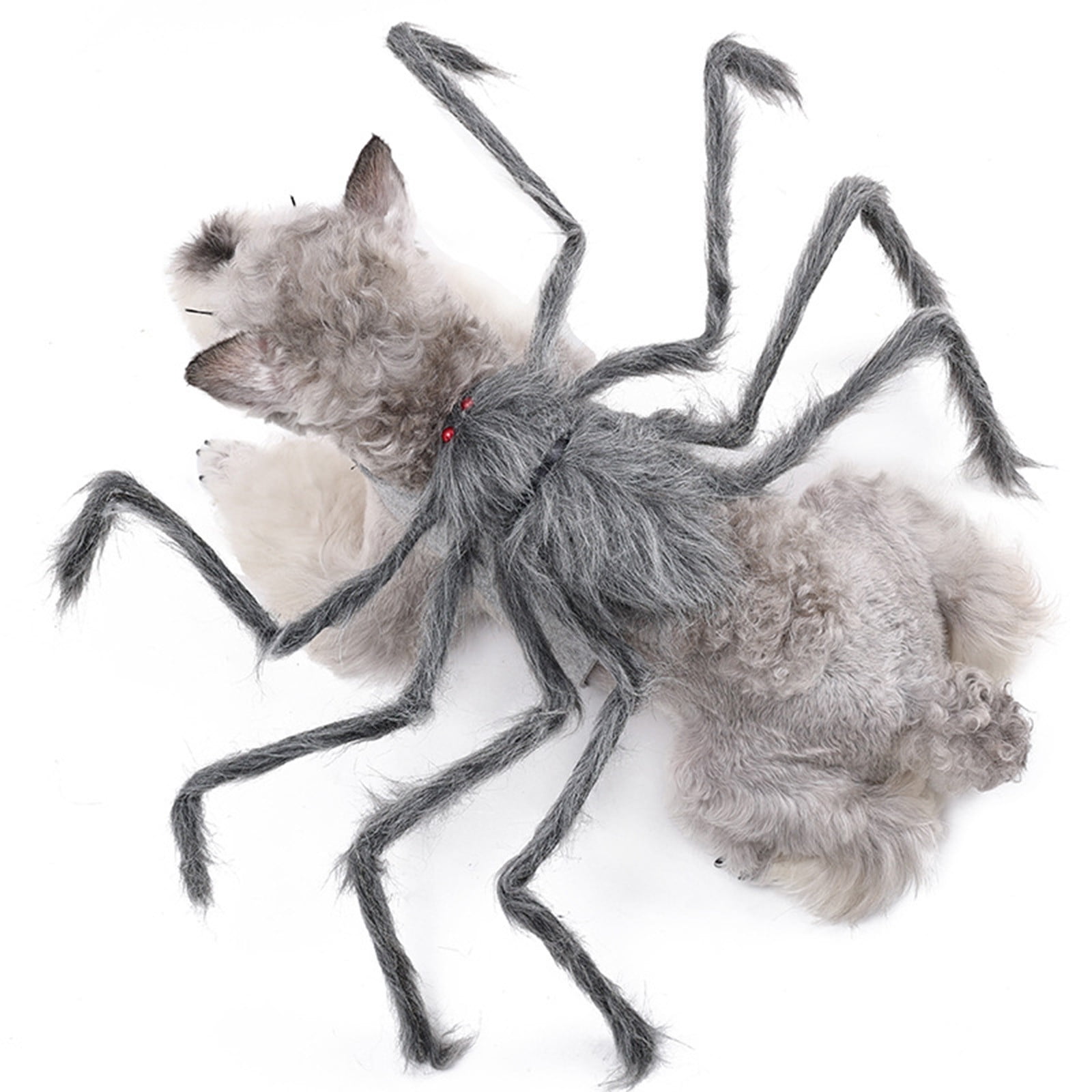hengsof Halloween Pet Clothes Big Spider Transformation Costume Dog ...