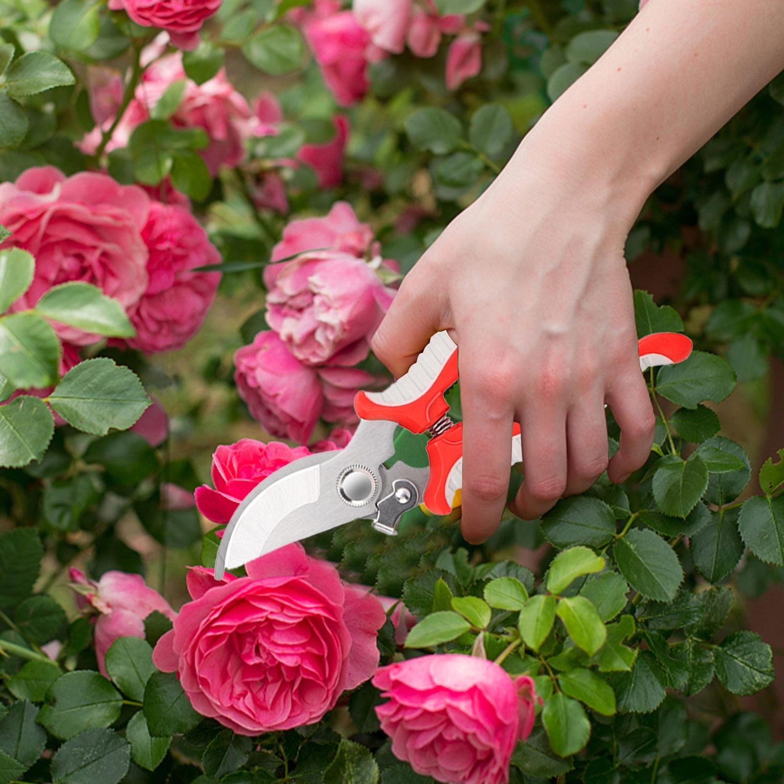 hengsof Garden Bypass Pruning Shears Bulk Heavy Duty Gardening Scissors ...