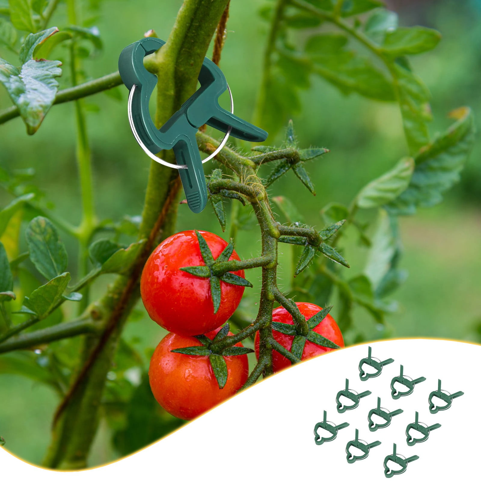 hengsof Plant Clips Support Reusable Plastic Attachments, Fixed Vines ...