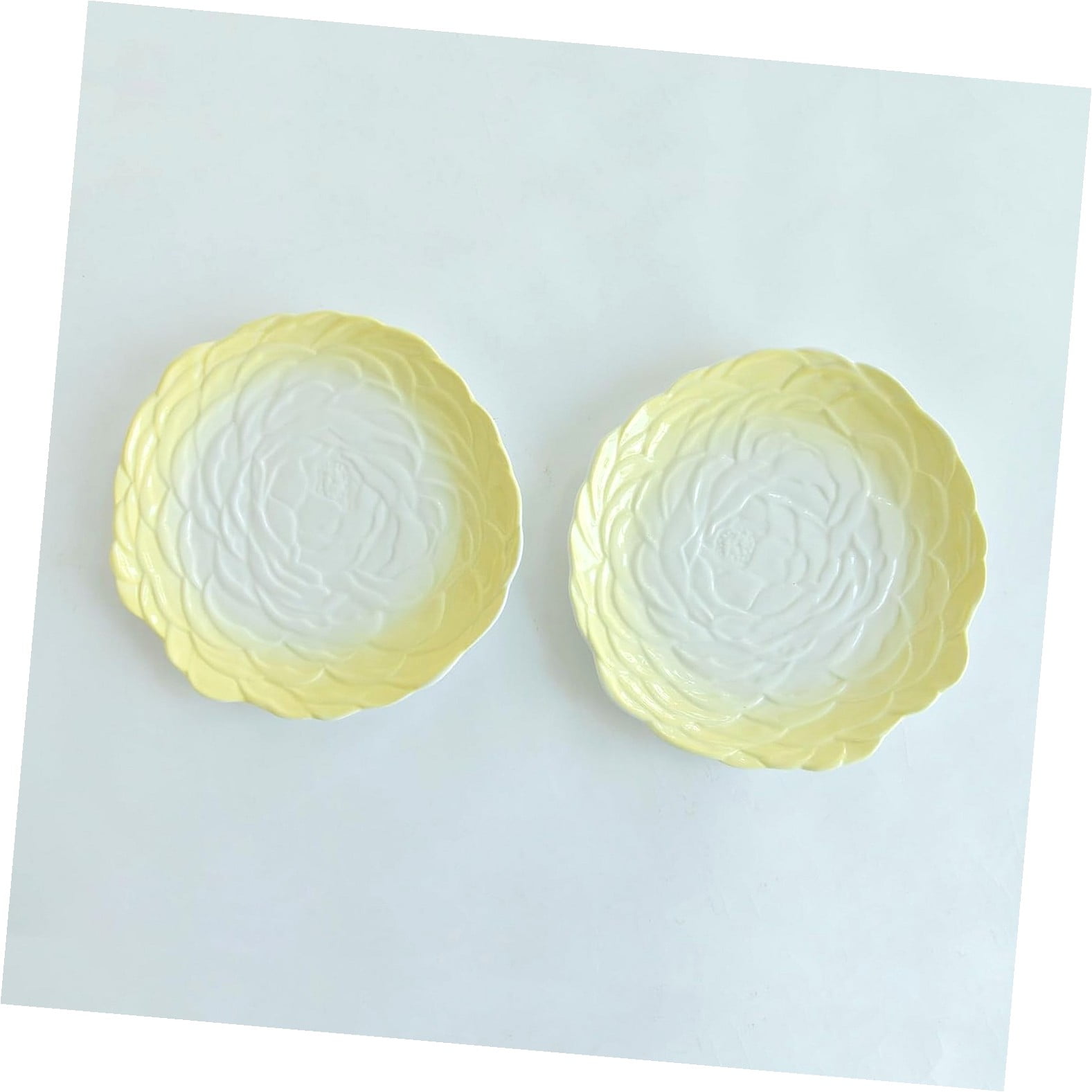 hgudesign 2 Pack Ceramic Dinner Plates Floral lines Design, 8" Diameter ...