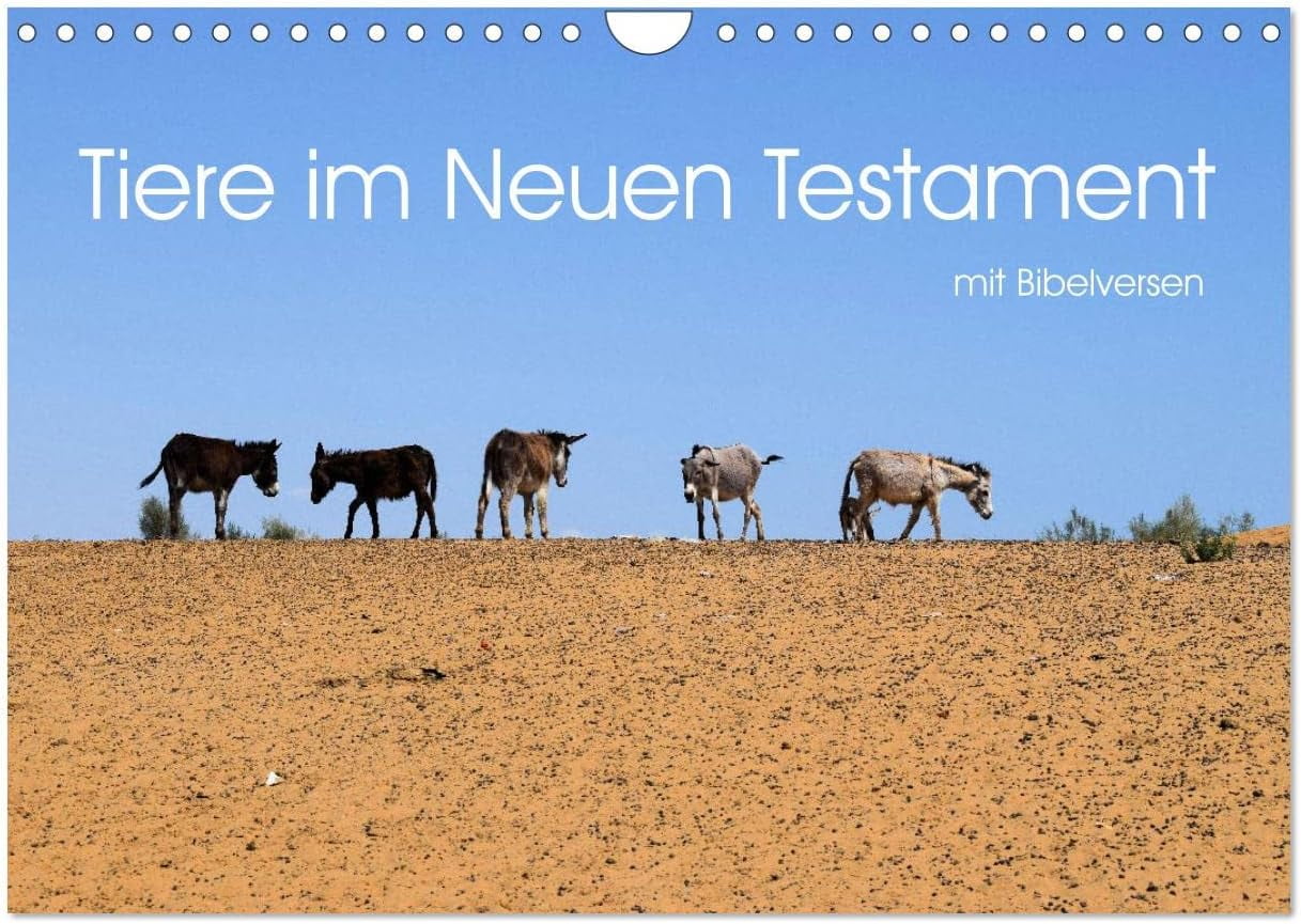 hgudesign Animals in the New Testament with Bible , US-Version (Wall ...