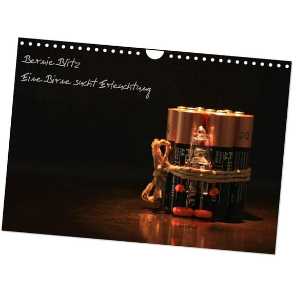 hgudesign Bernie bulb seeks enlightenment, US-Version (Wall Calendar ...