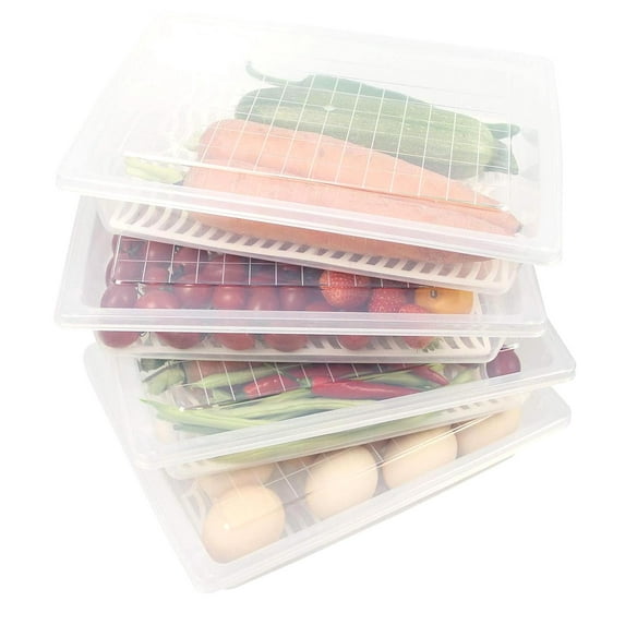 hgudesign Container, Plastic Food Containers with Removable Drain Plate ...