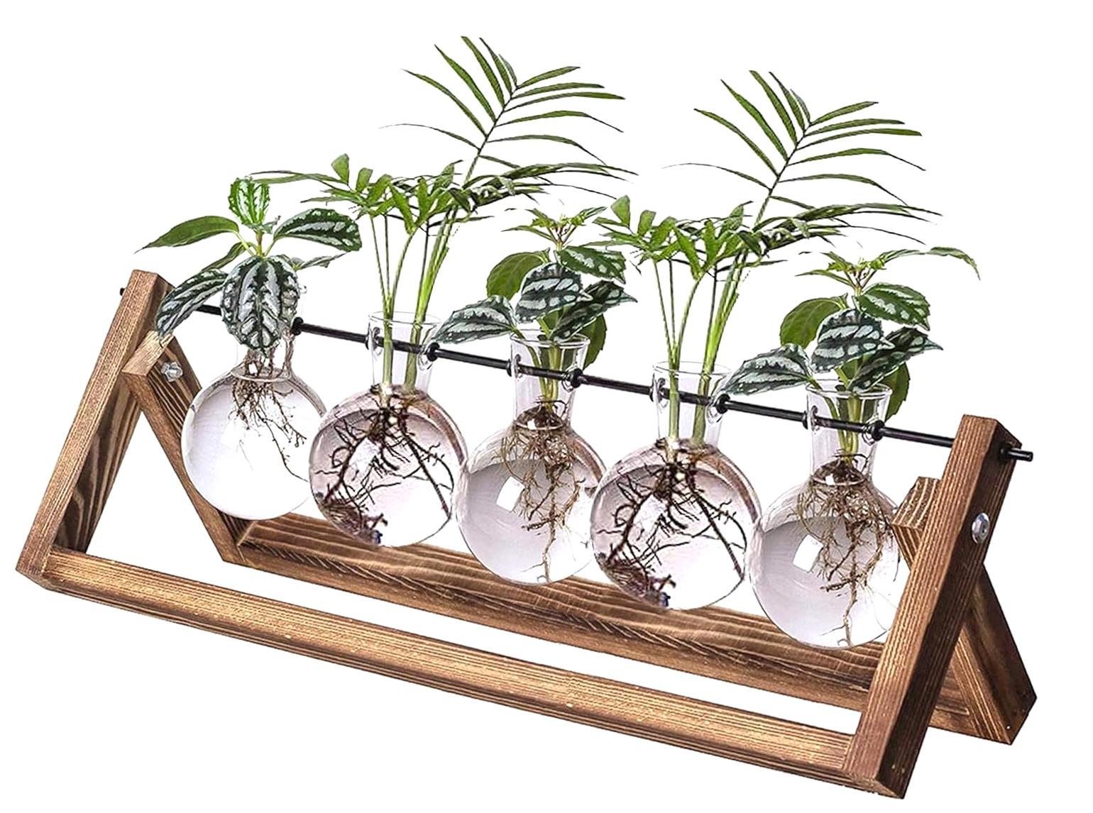 hgudesign Desktop Glass Planter Iron and Wooden Stand Plant Terrariums ...