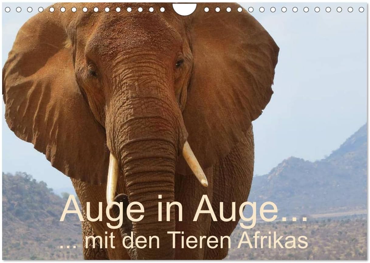 hgudesign Journey with the Animals of Africa, US-Version (Wall Calendar ...