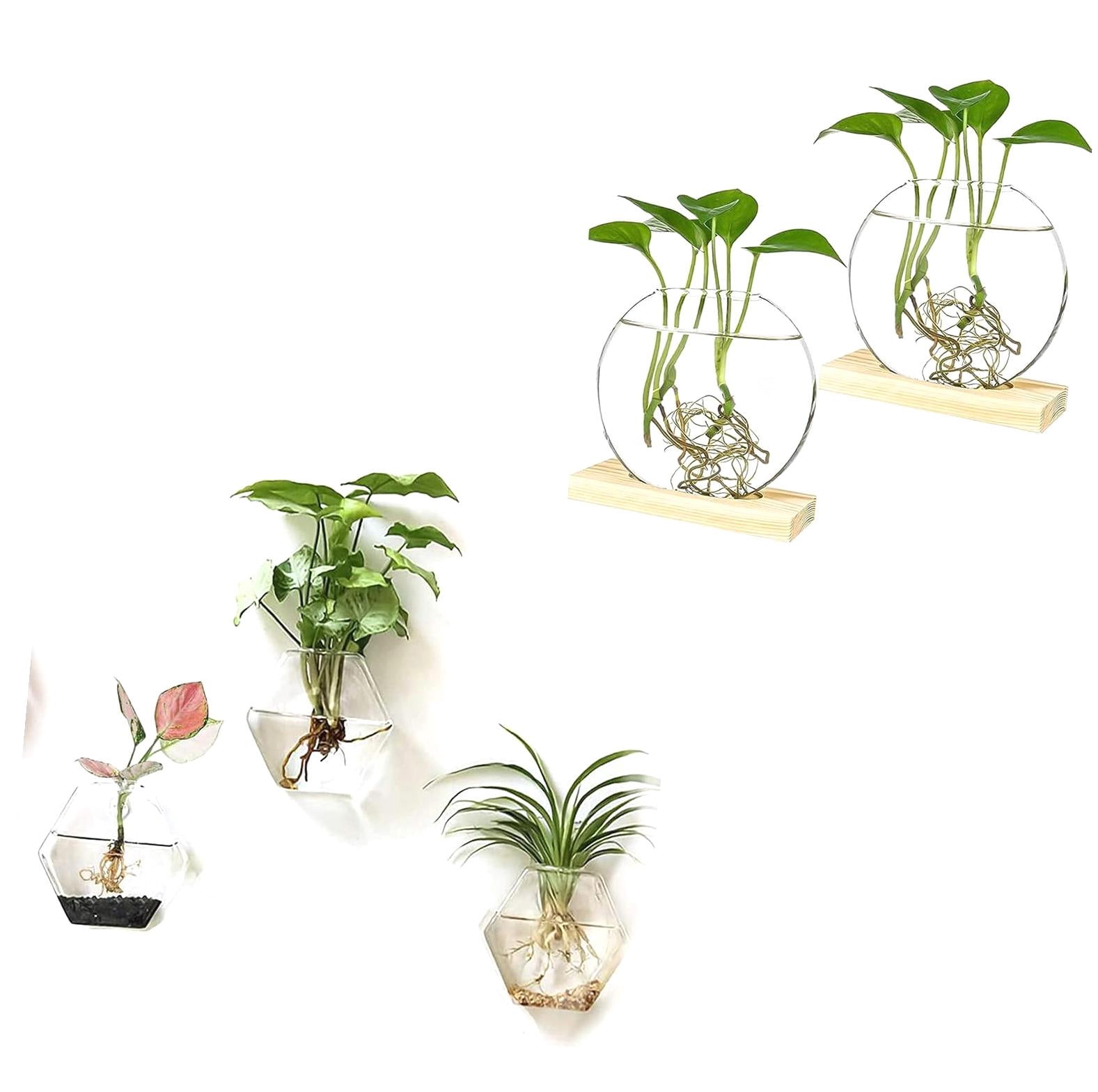 hgudesign Wall Hanging Planter Glass Terrarium Propagation Station ...