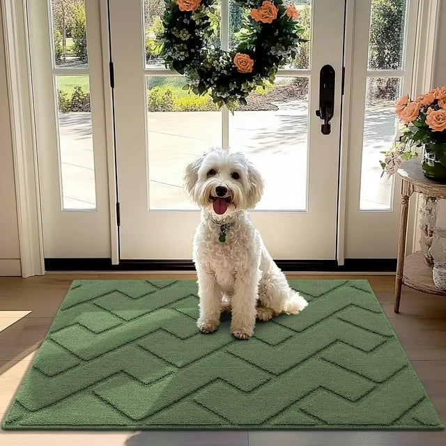 hicorfe Indoor Doormat,Non-Slip Front Back Door Mat for Entryway,Inside ...