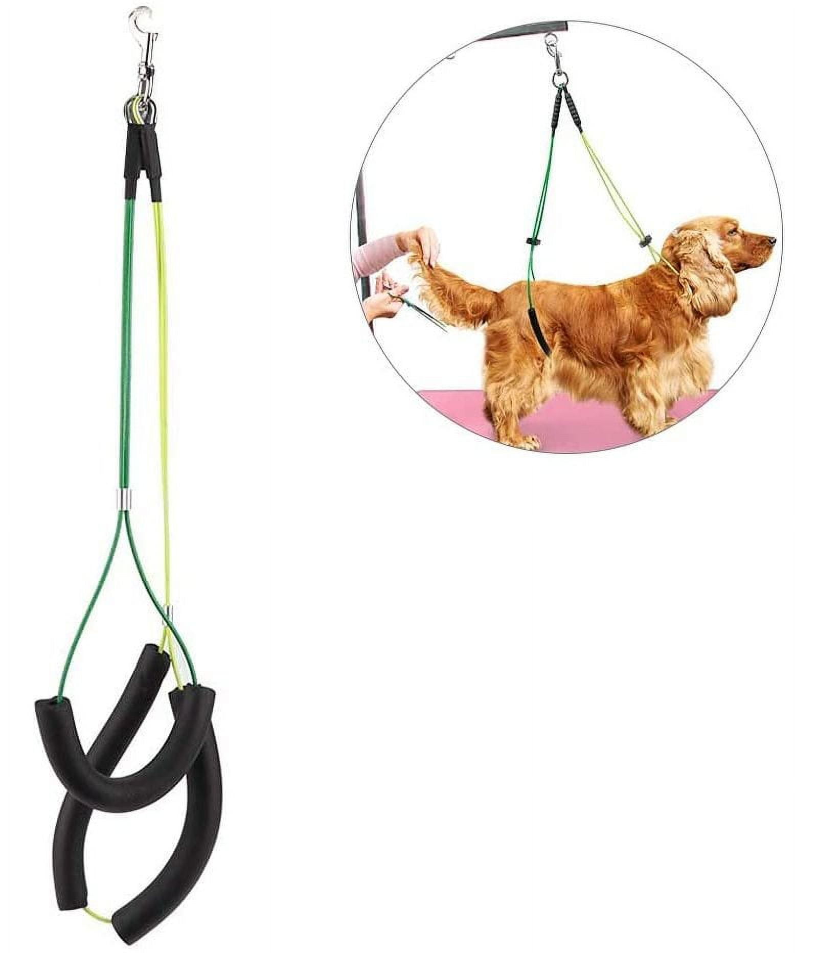 There is no hip support for pet products in the city center, which is ...