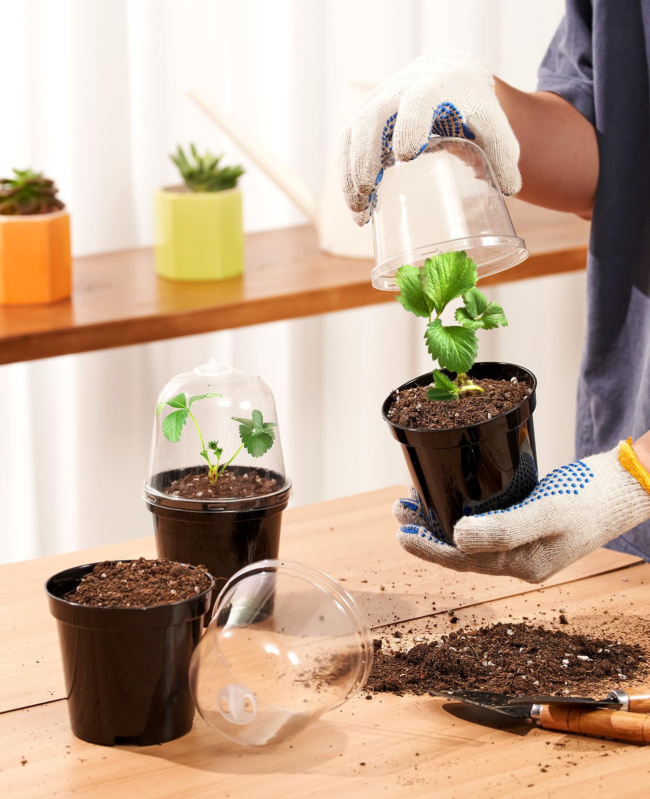 homenote Nursery Pots for Plants,3 Inch Plant H2FSDPot for Planting ...