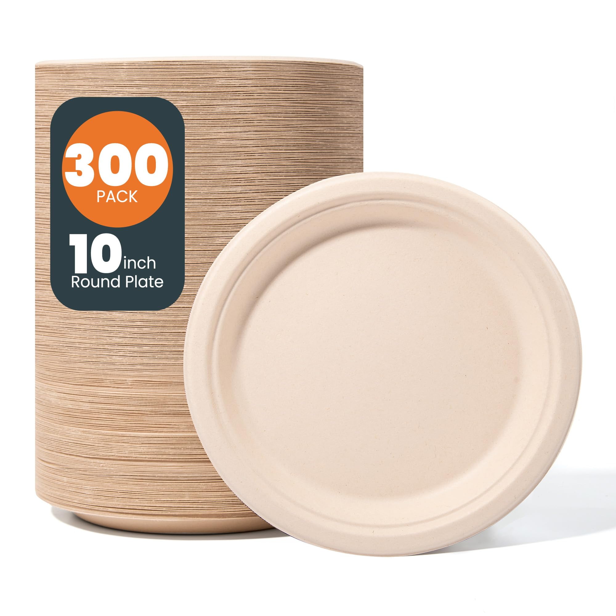 hooray mida 100% Compostable Paper Plates - 10 Inch, Bulk 300 Count ...