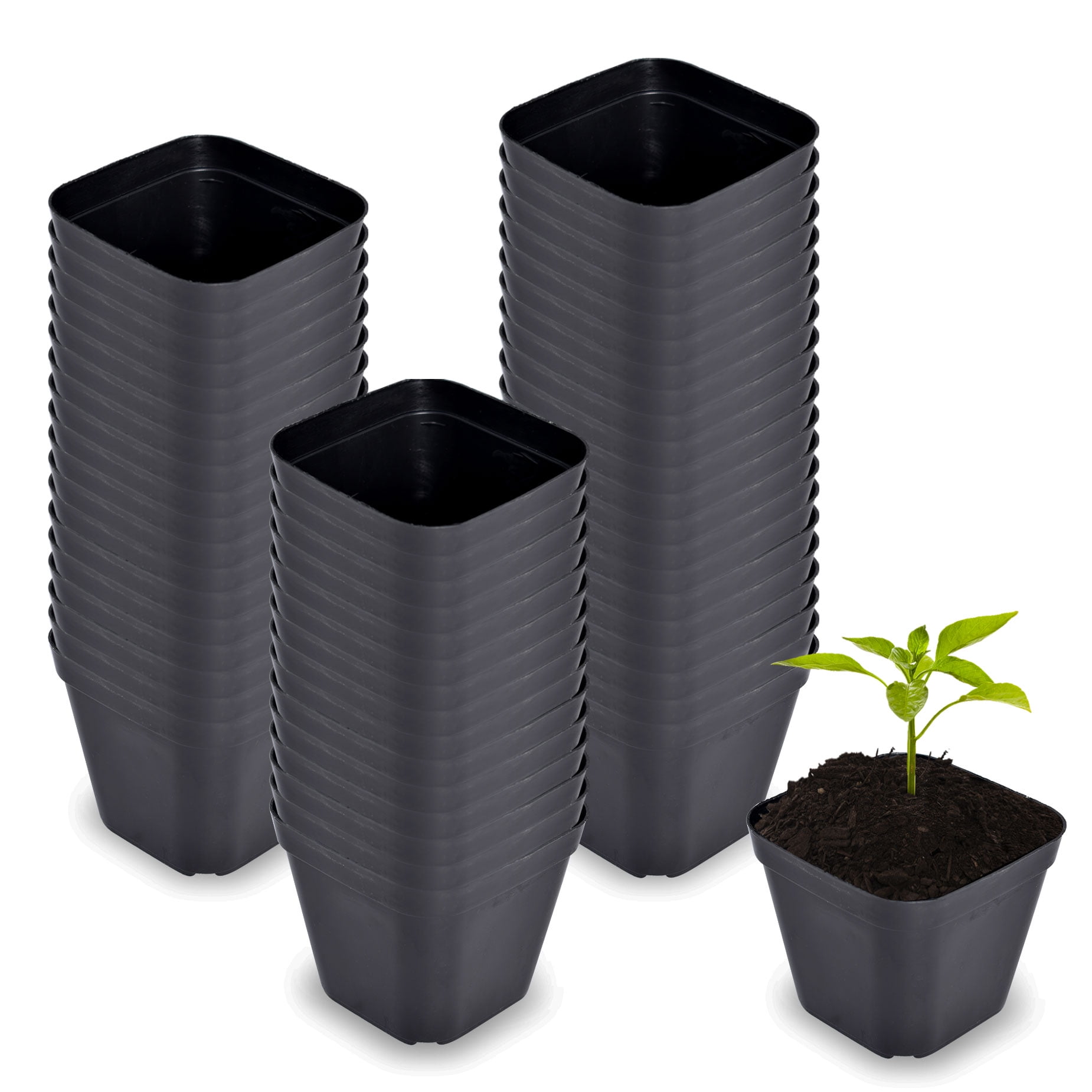 hostic 100 PCS Square Seedling Pots Nursery Pots Plastic Pot for Plant ...