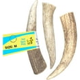 Hotspot Pets USA-Made Elk Antlers for Dogs - Large Size for Aggressive ...