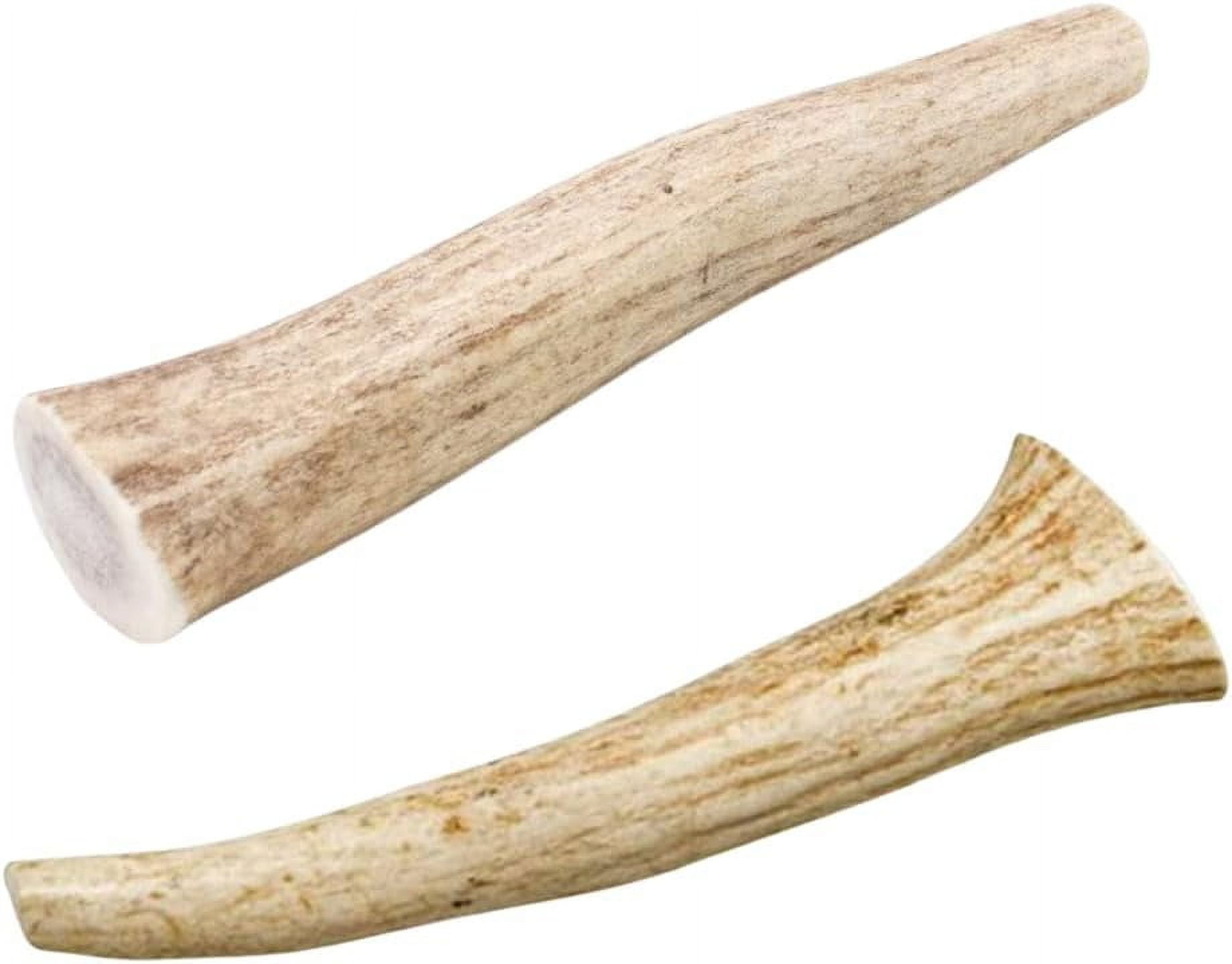hotspot pets Premium Deer Antlers for Dogs - 7+ Inch Large Antler Dog ...