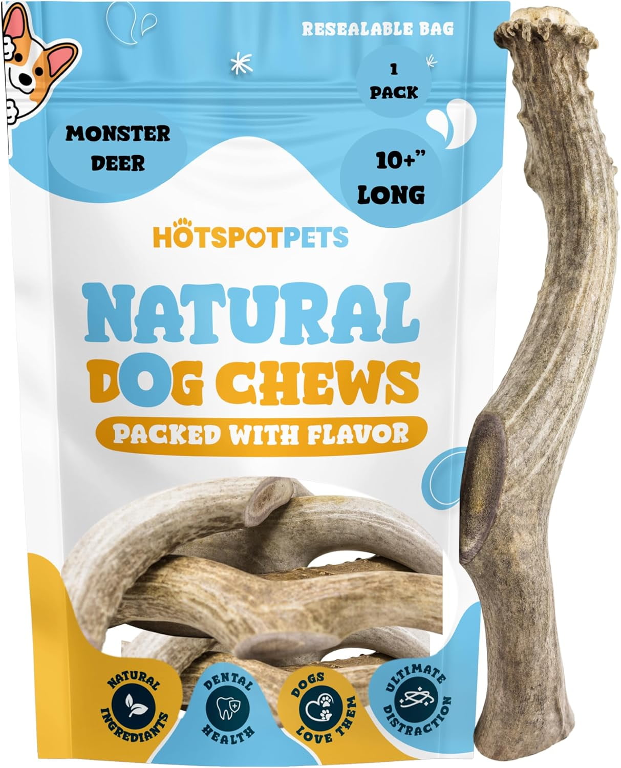hotspot pets Premium Whole Deer Antlers for Dogs - 10+ Inch Monster ...