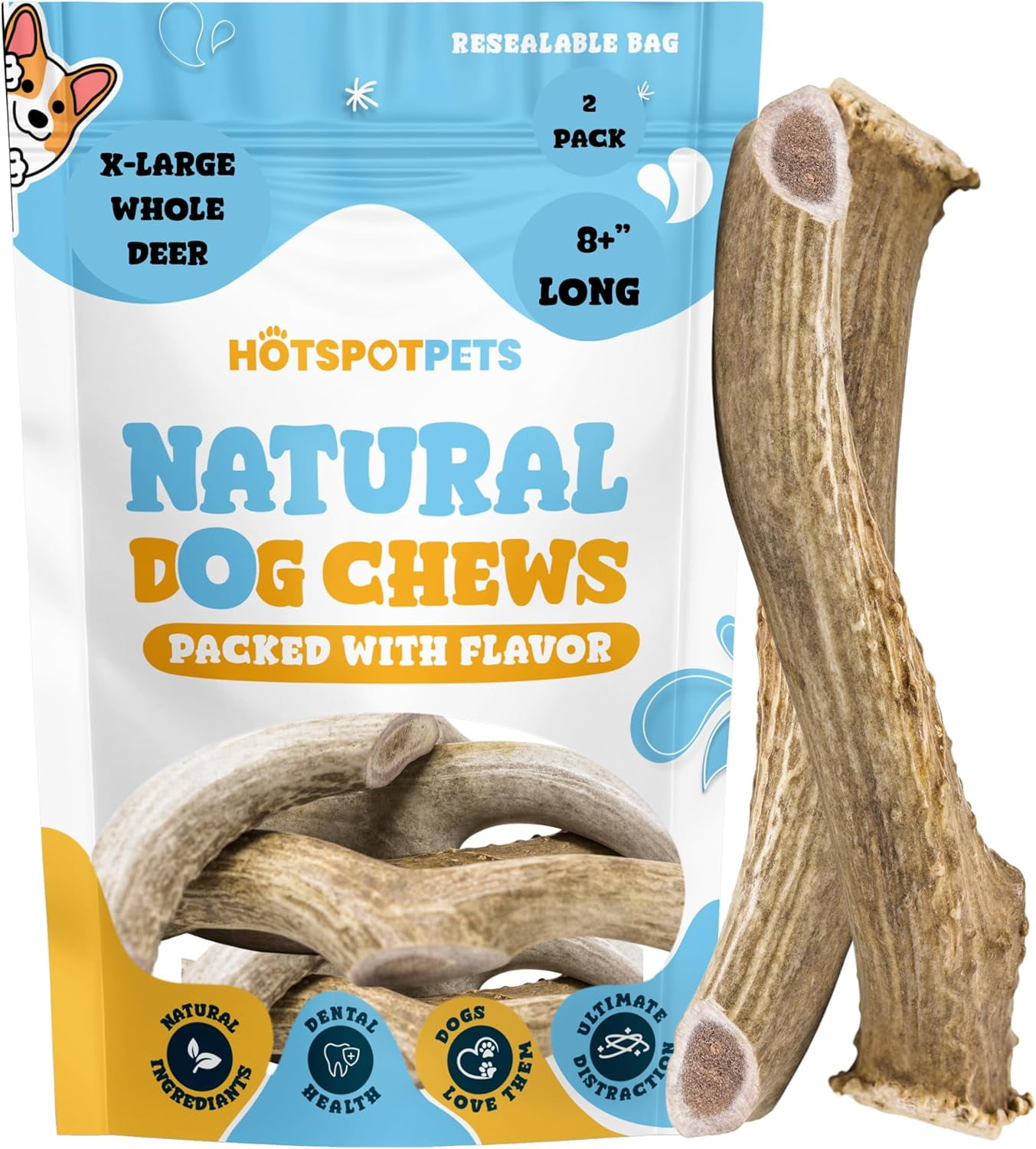 hotspot pets Premium Whole Deer Antlers for Dogs - 8+ Inch X-Large Deer ...