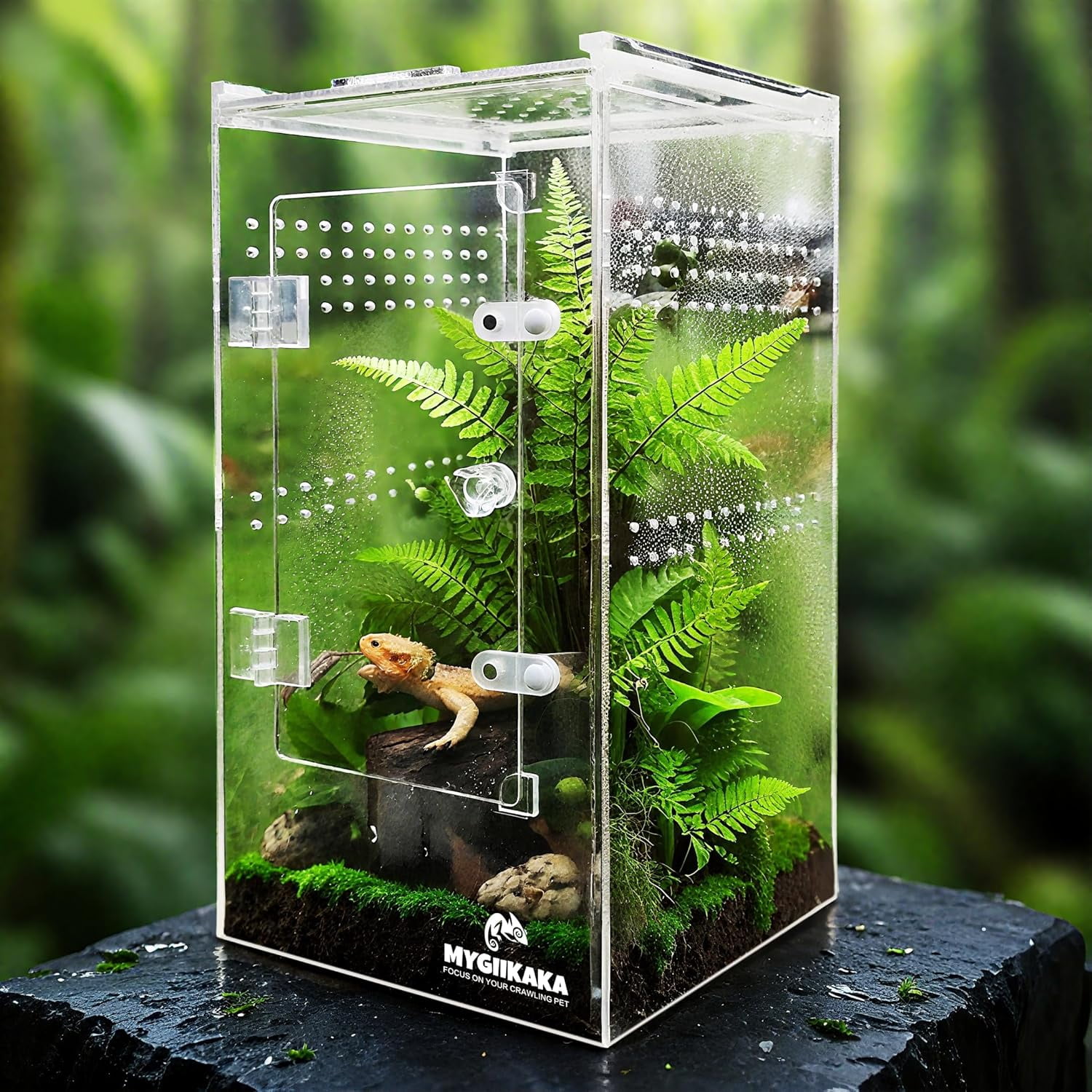 A house of tools Jumping Spider Enclosure Accessories, Tarantula Spider ...
