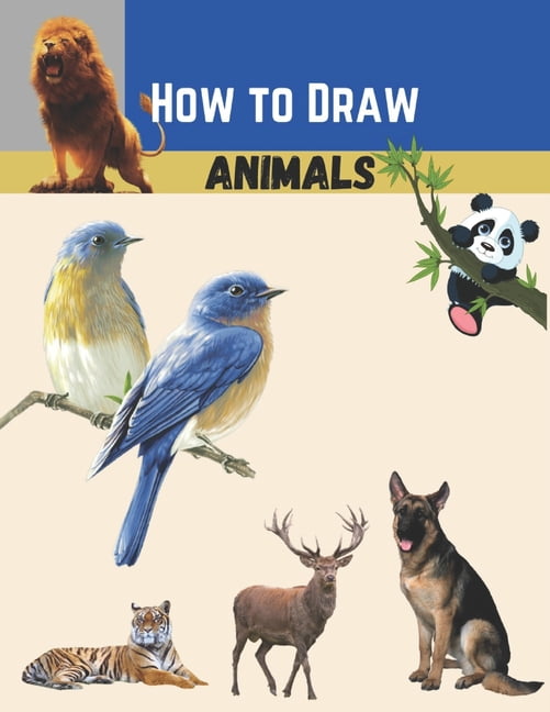 how to draw animals: For Beginners To Intermediate Drawers Of All Ages ...