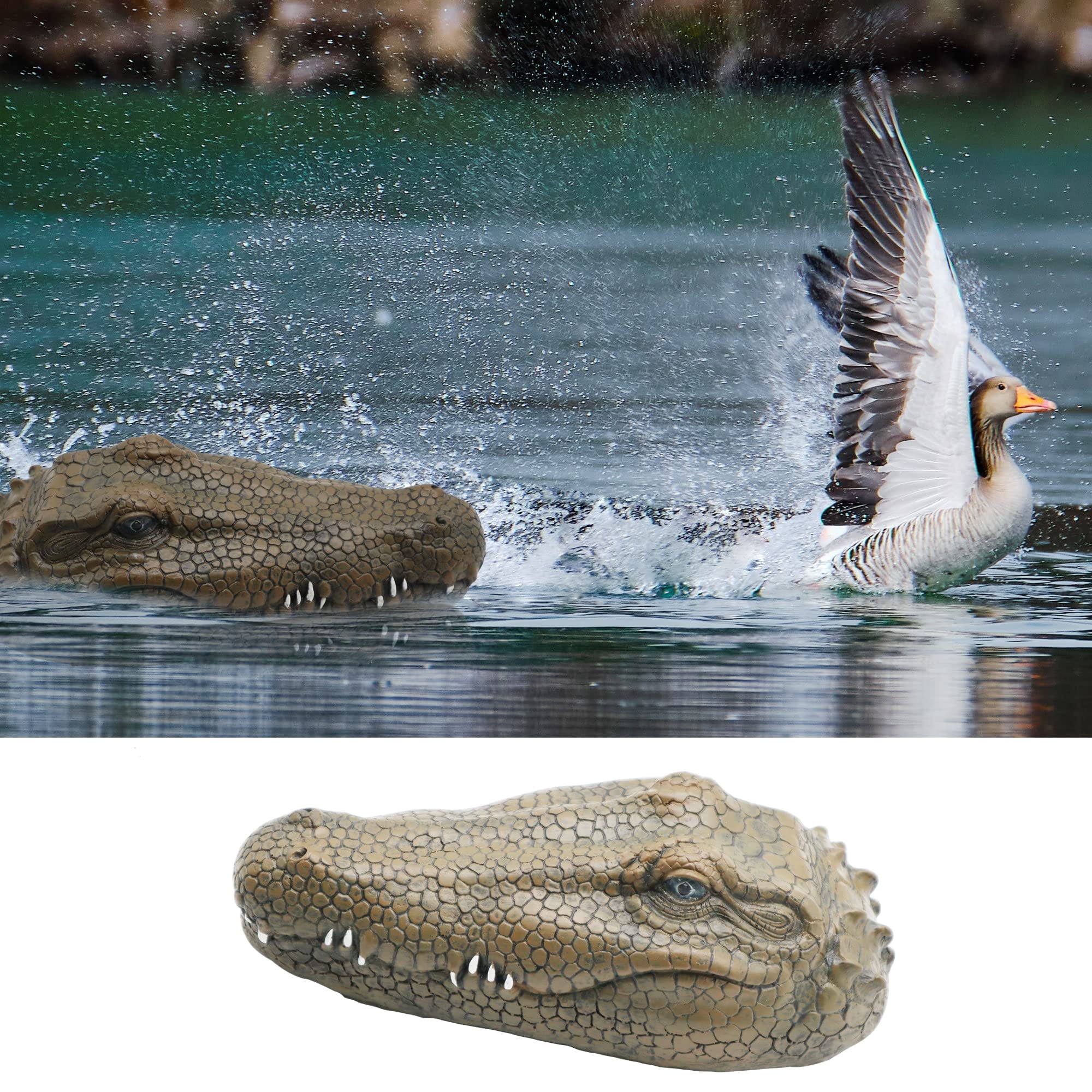 Gator Ponds
