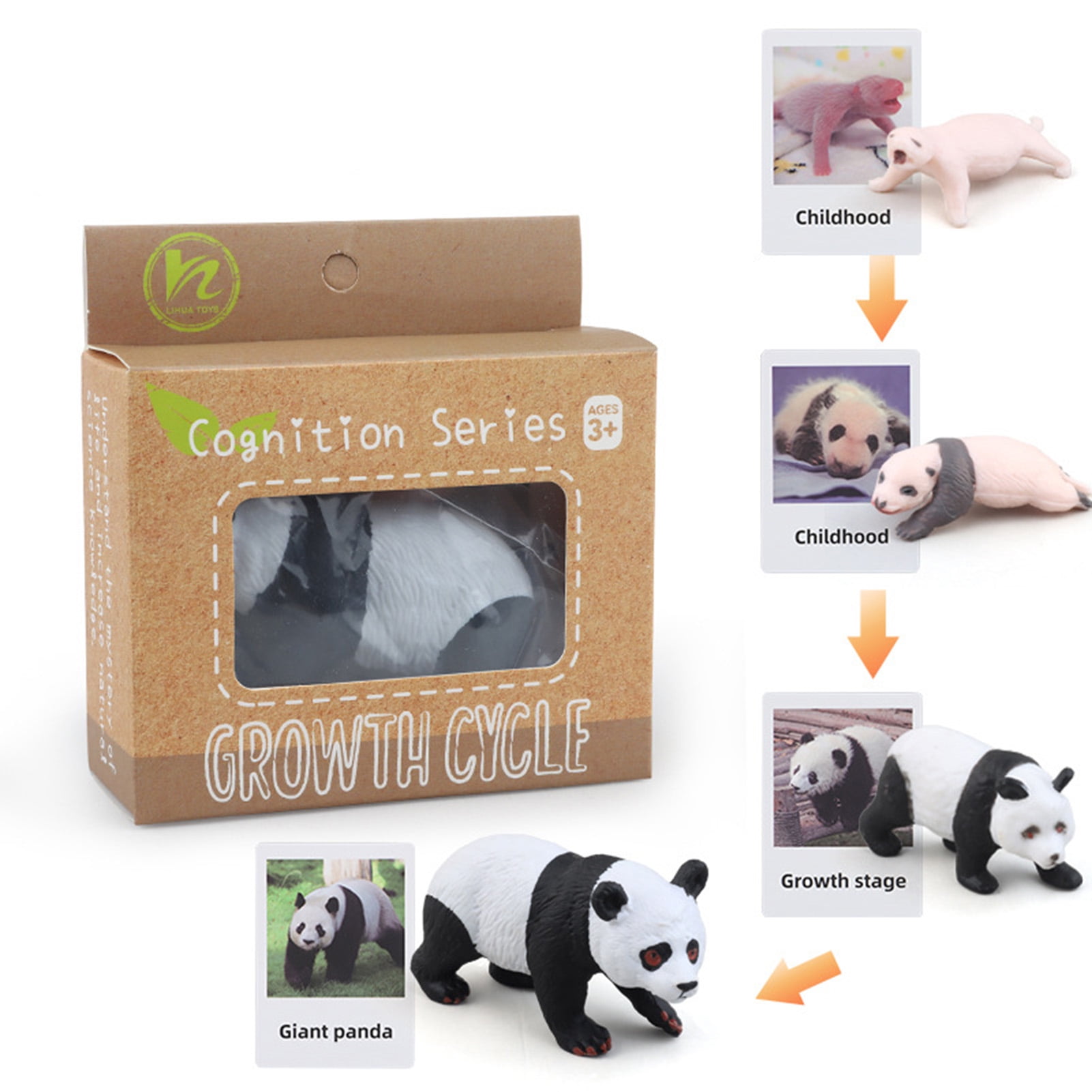 huanledash 1 Box Biology Discovery Toy Realistic Frog Bee Panda Chick ...