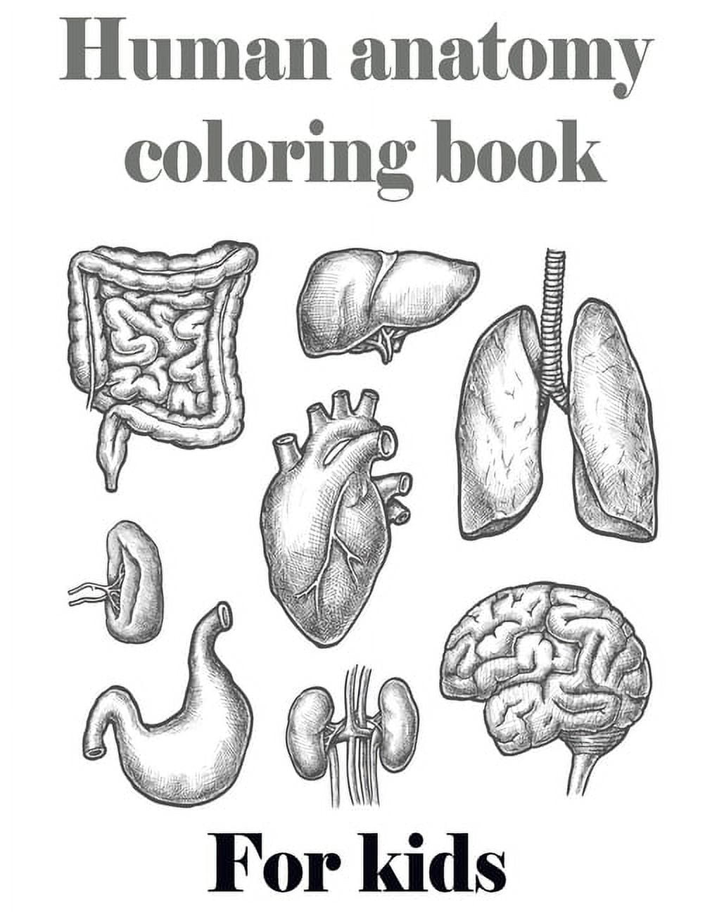 Human Body Parts Coloring Pages For Kids